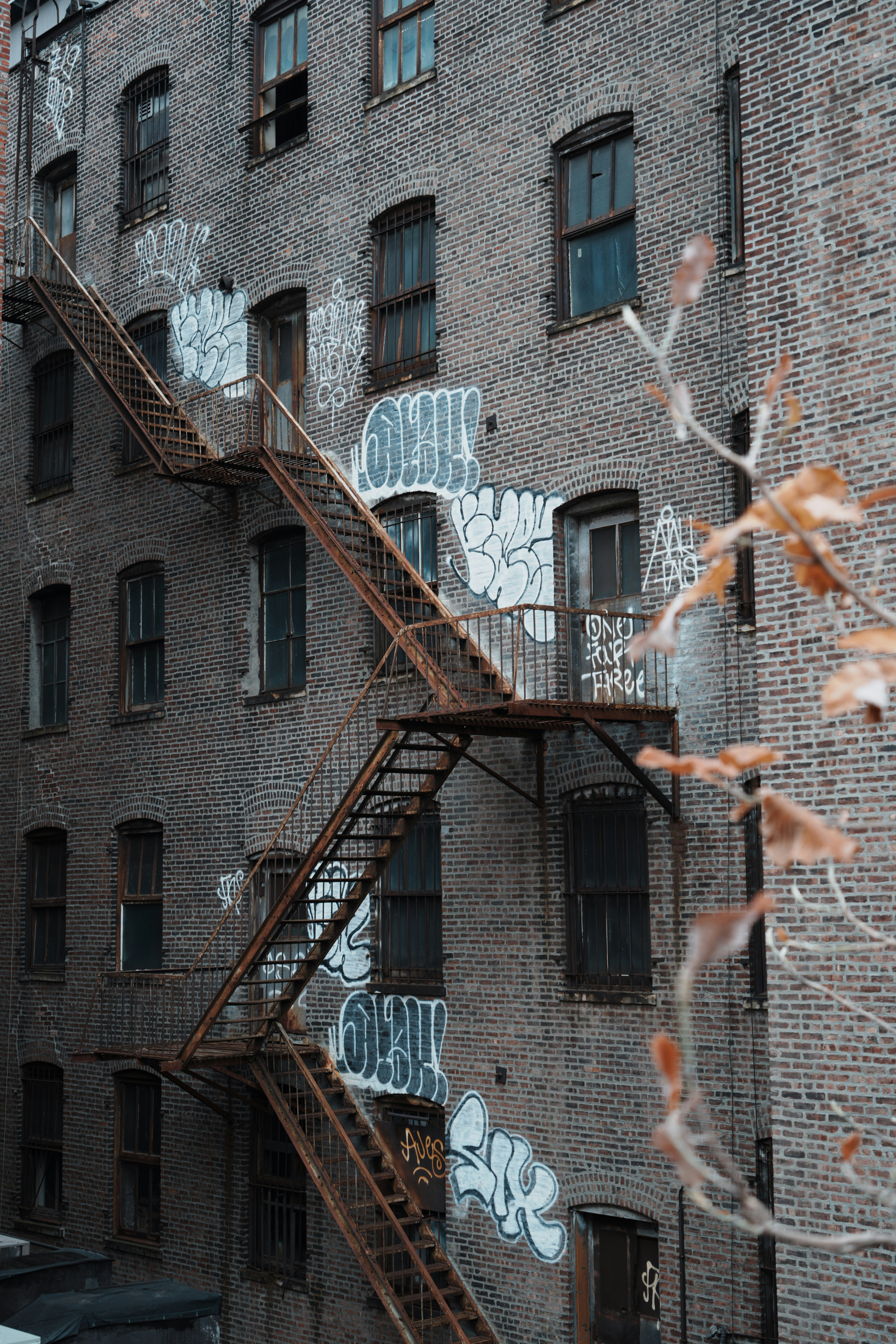 Photo by Joey Zhou with Sony Alpha 7R V