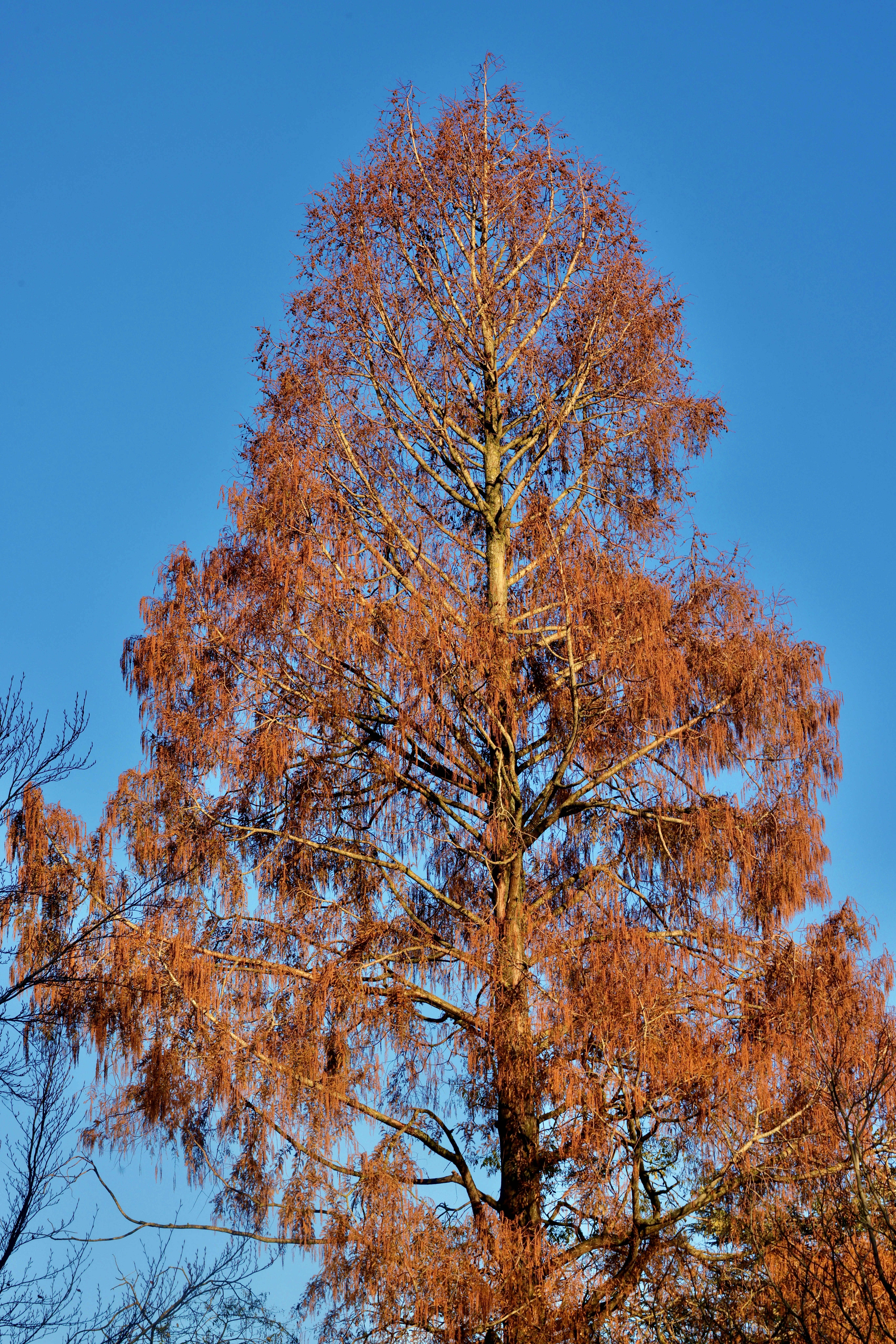 Photo by James Wainscoat with Canon EOS R5