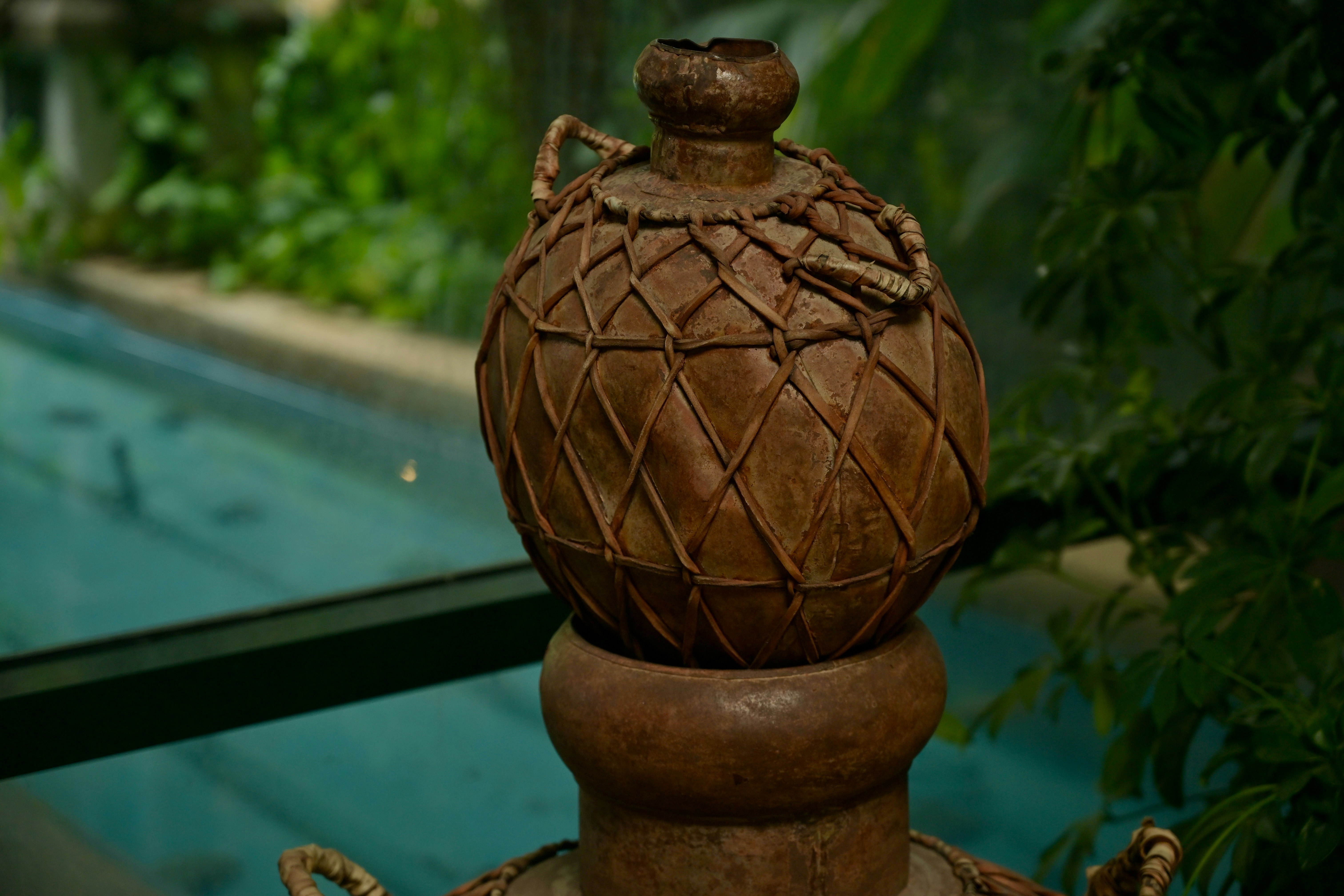 Photo by Rajesh Rajput with Nikon Z6 III