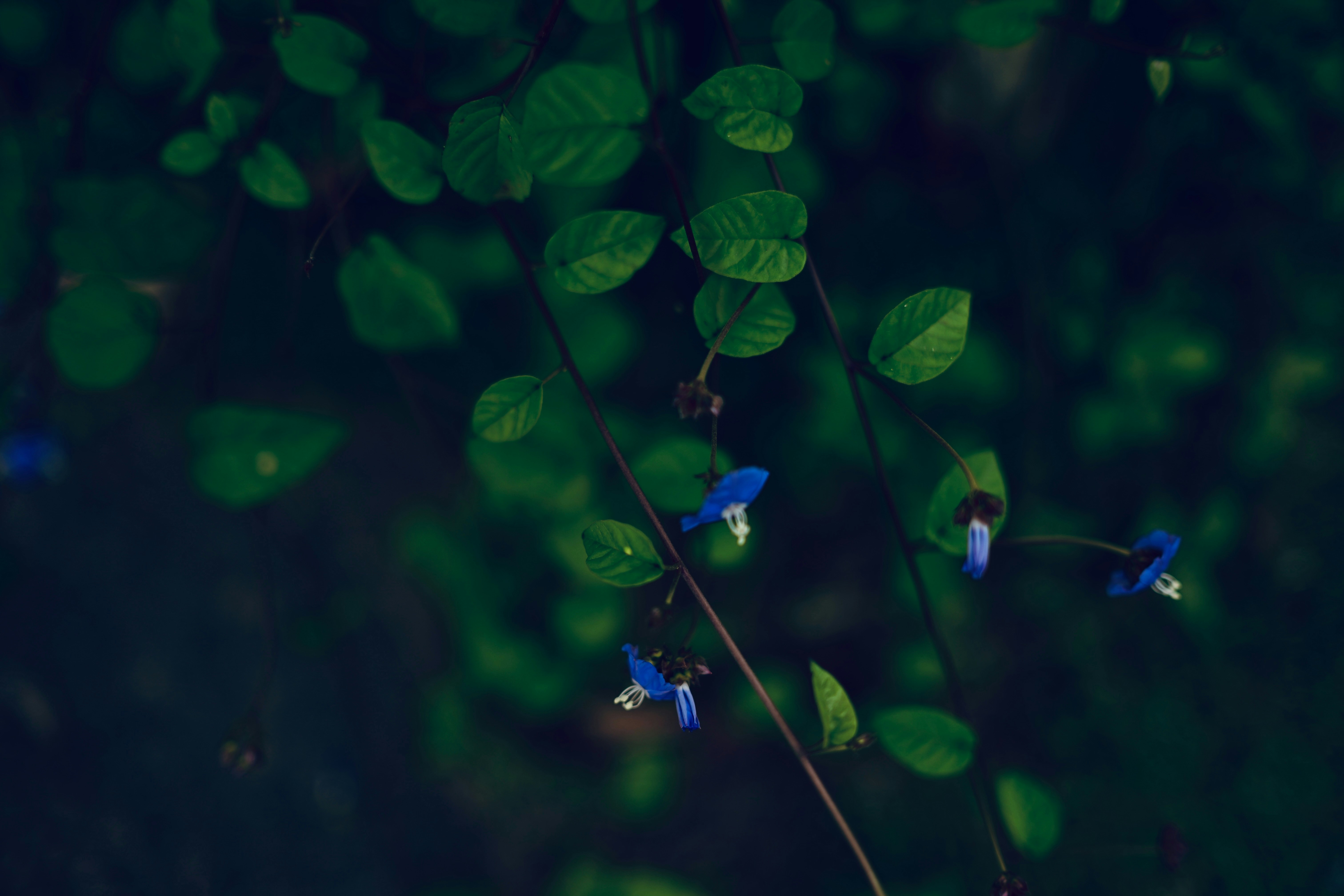 Photo by Rajesh Rajput with Nikon Z6 III