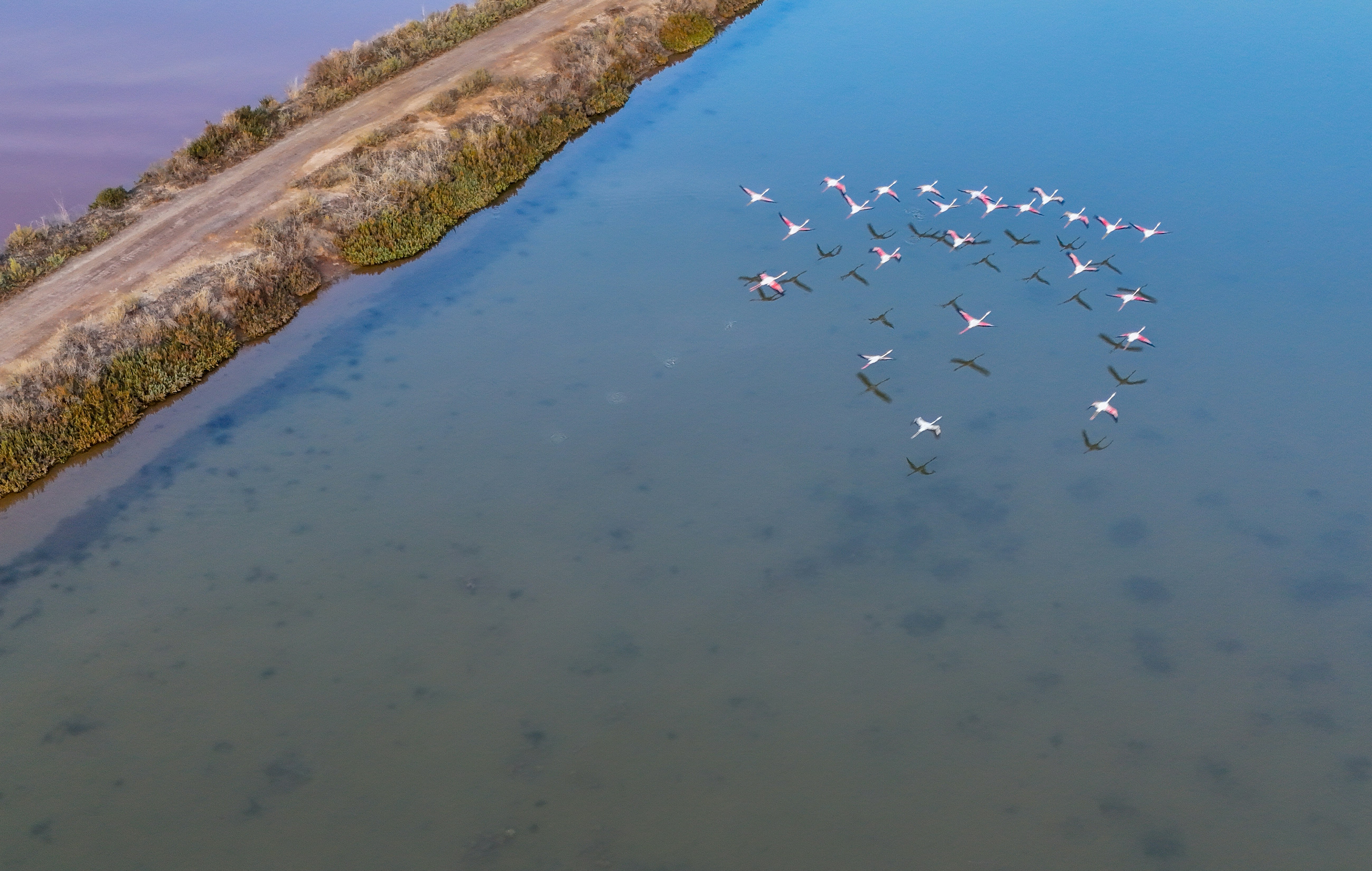 Photo by Bob Brewer with DJI Mini 4 Pro