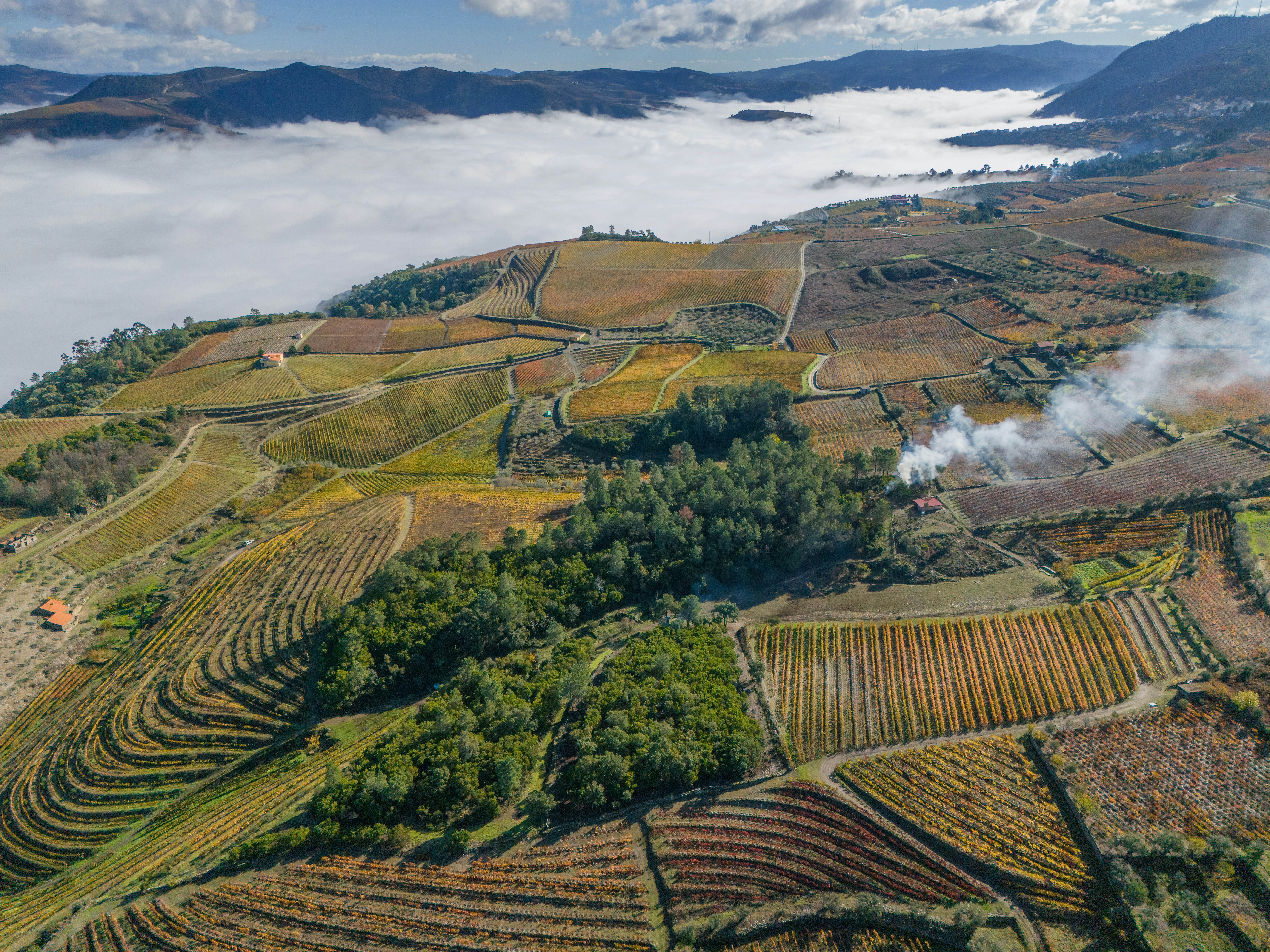 Terraced Valleys of Autumn Light from Above
