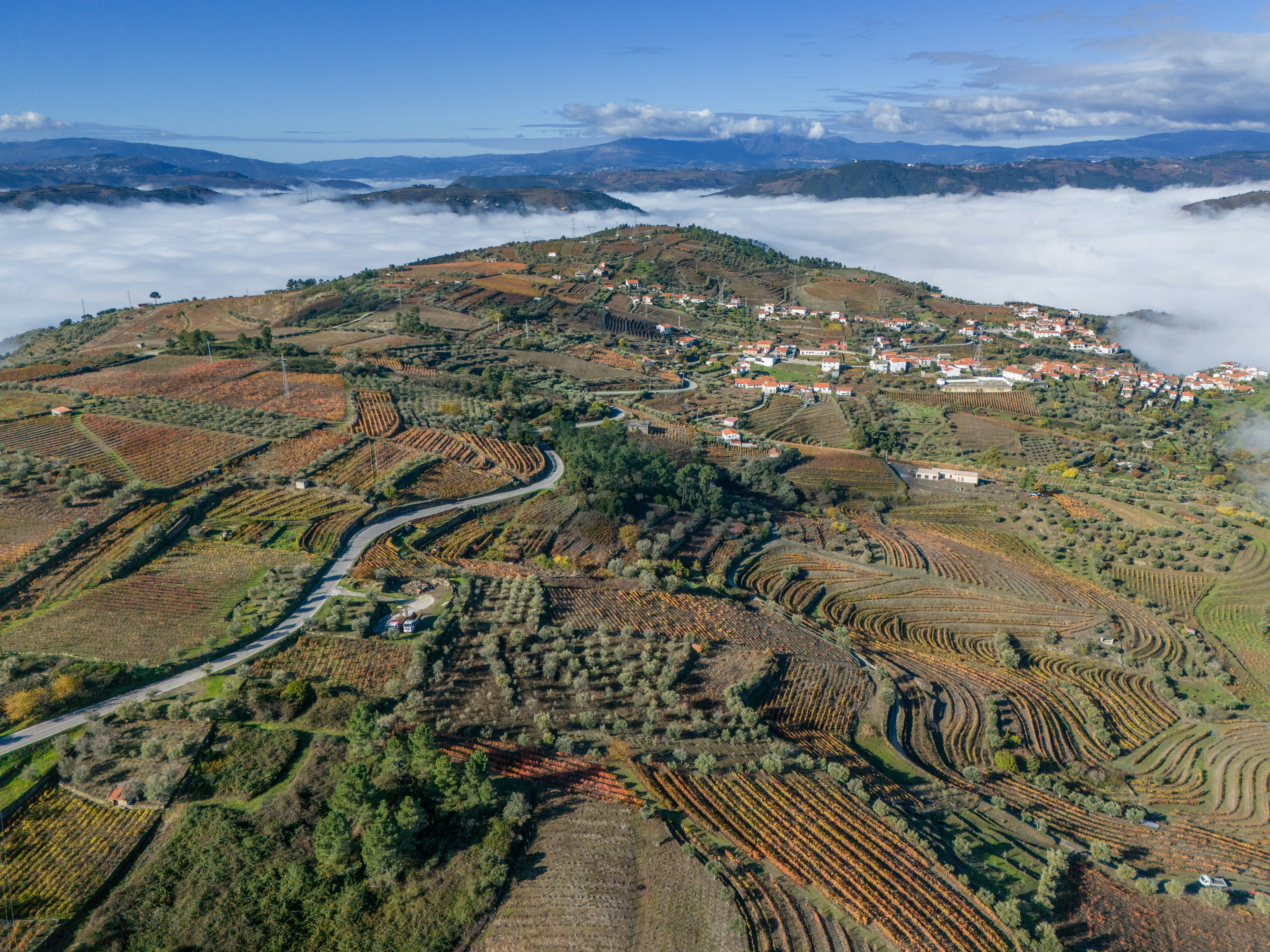 Photo by Bob Brewer with DJI Mini 4 Pro