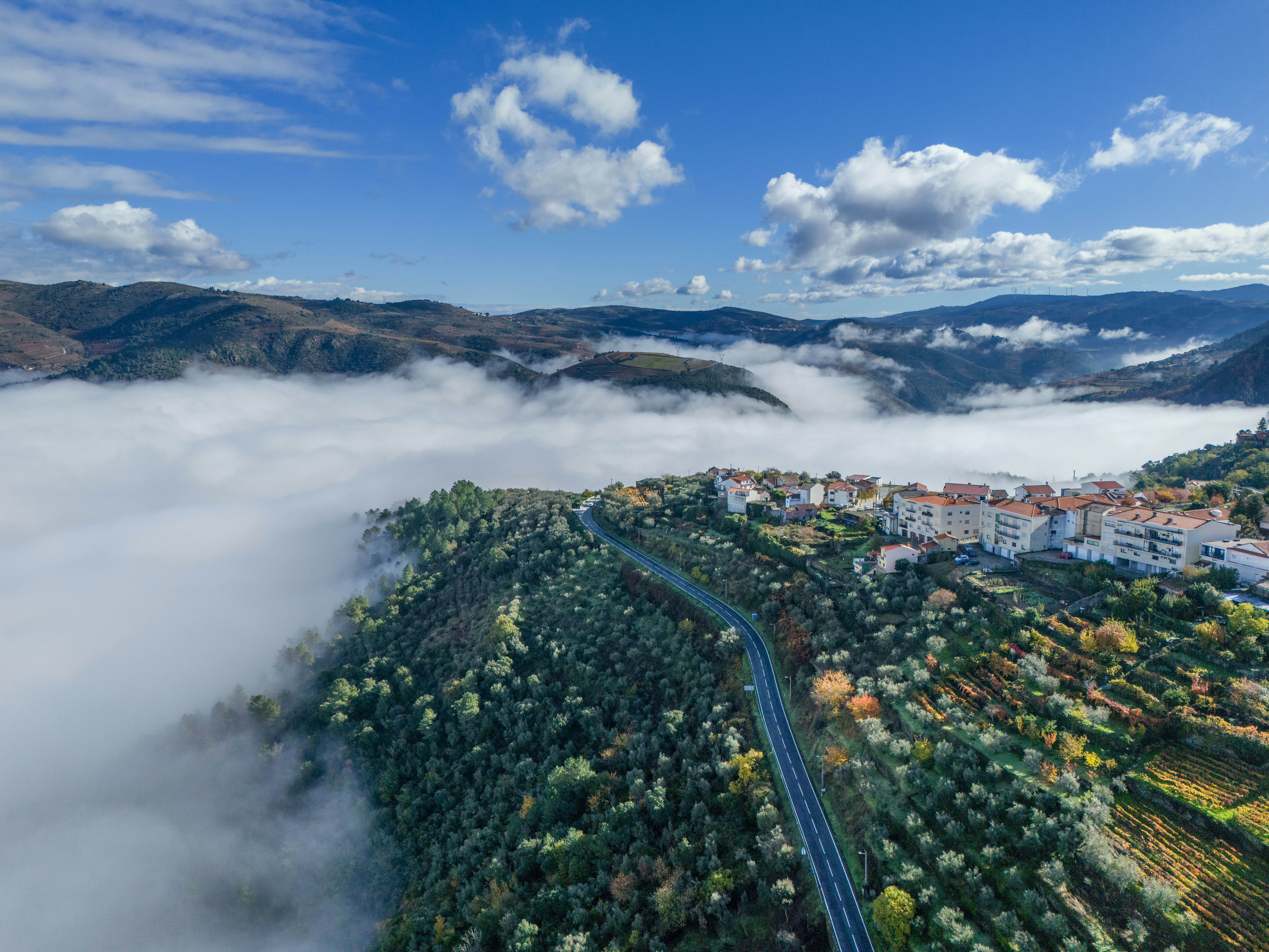 Bridge through the Sea of Clouds: A Terraced Valley Shrouded in Mist