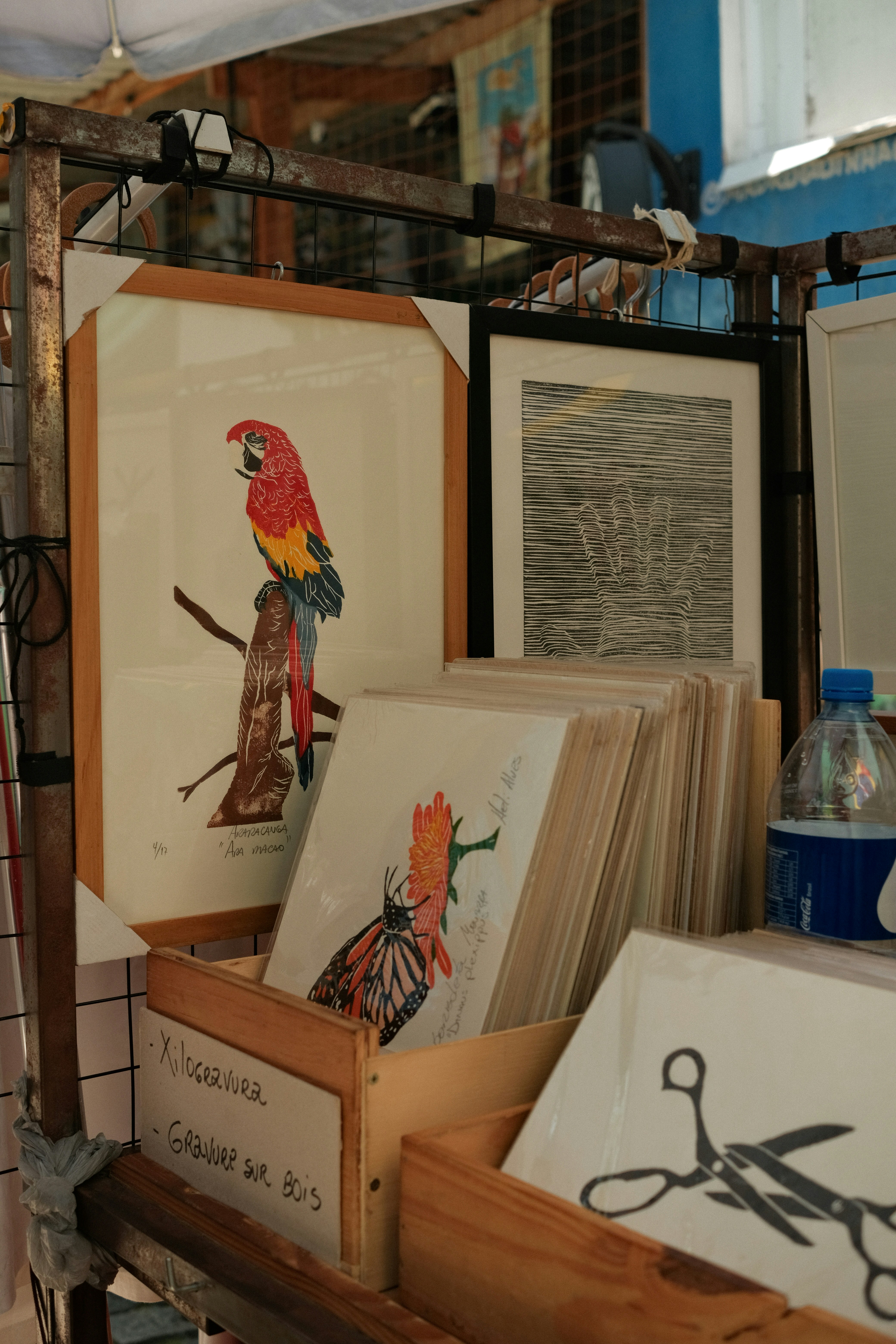 Colorful macaws and art prints at a rustic market stall