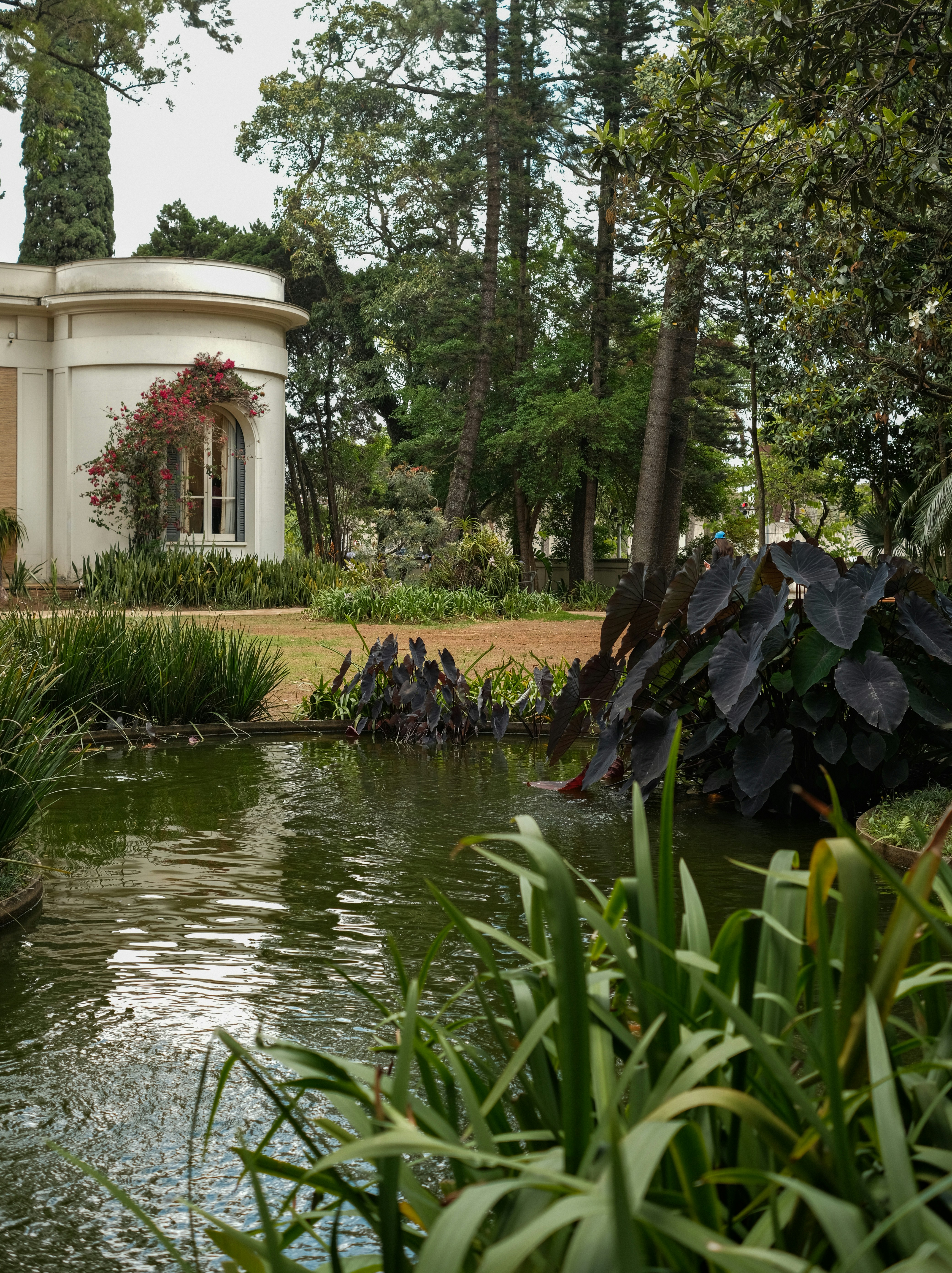 Photo by Caroline Badran with Fujifilm X-T30 II