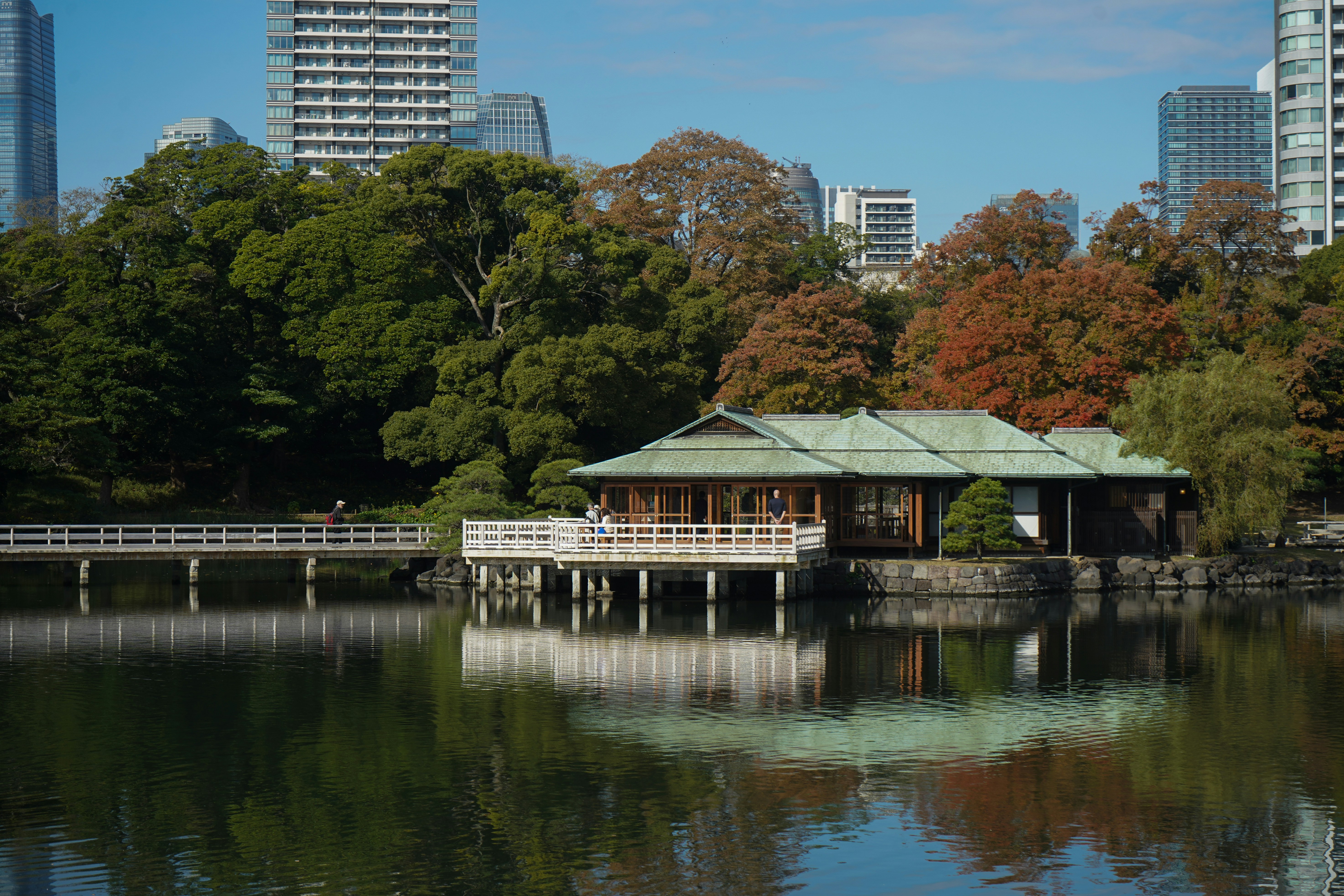 Waterfront Teahouse Beneath Urban Canopy