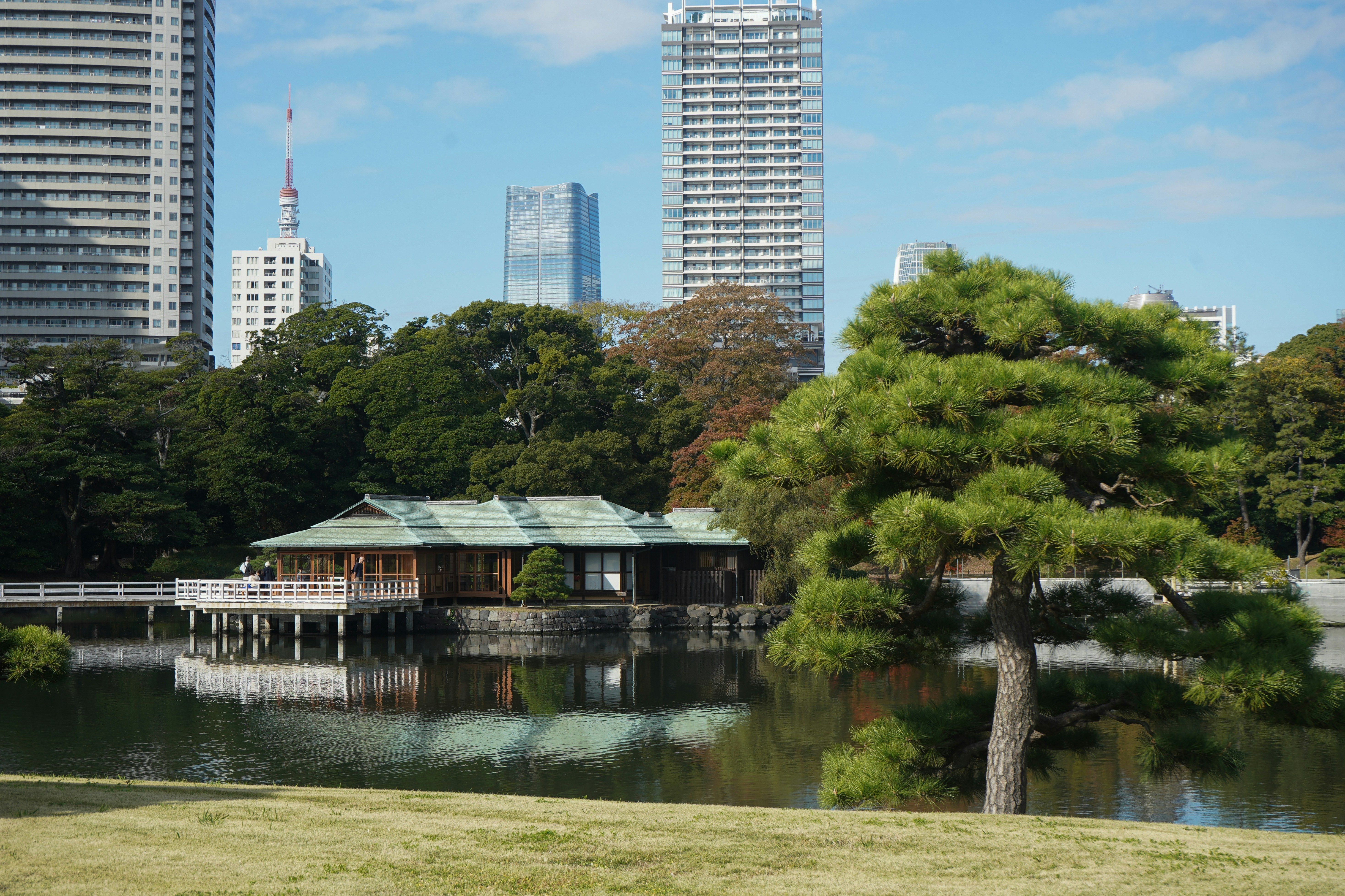 City Park Reflections: Traditional Teahouse Amid Modern Skyscrapers