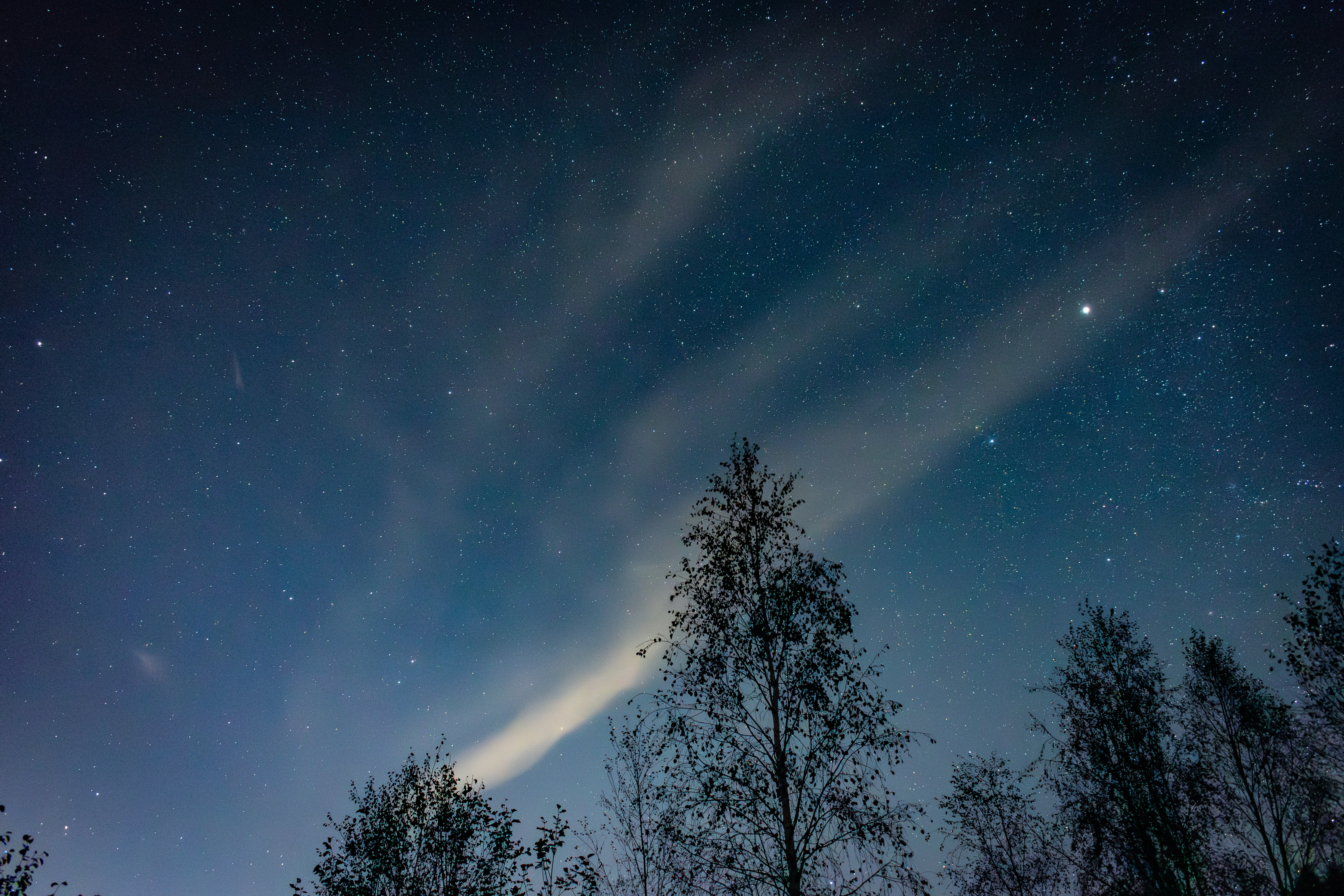 Starlit Trail: Moonlit Clouds Drift Over Quiet Pines