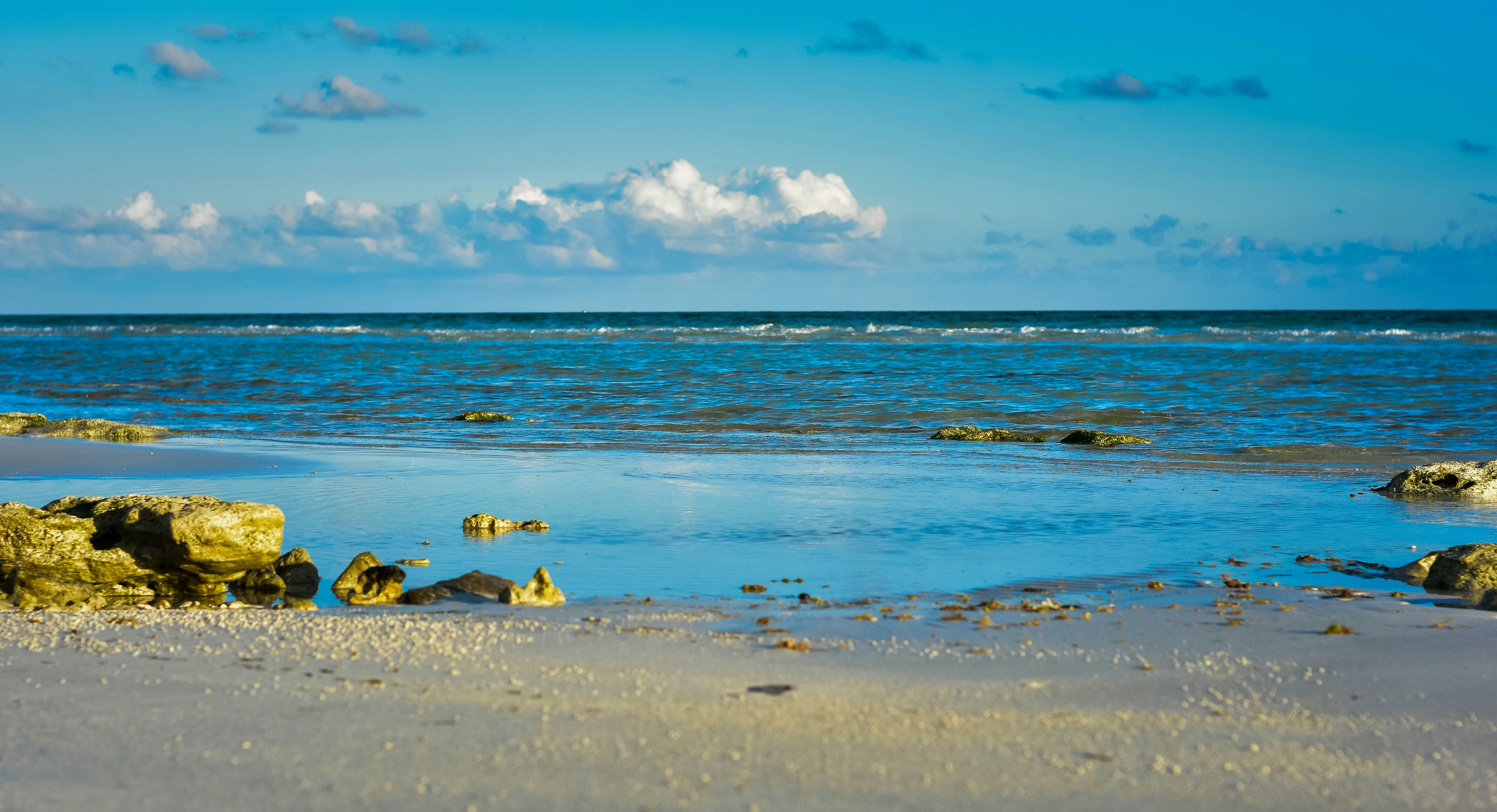 Arawak Lens (@arawaklens) | Unsplash Photo Community