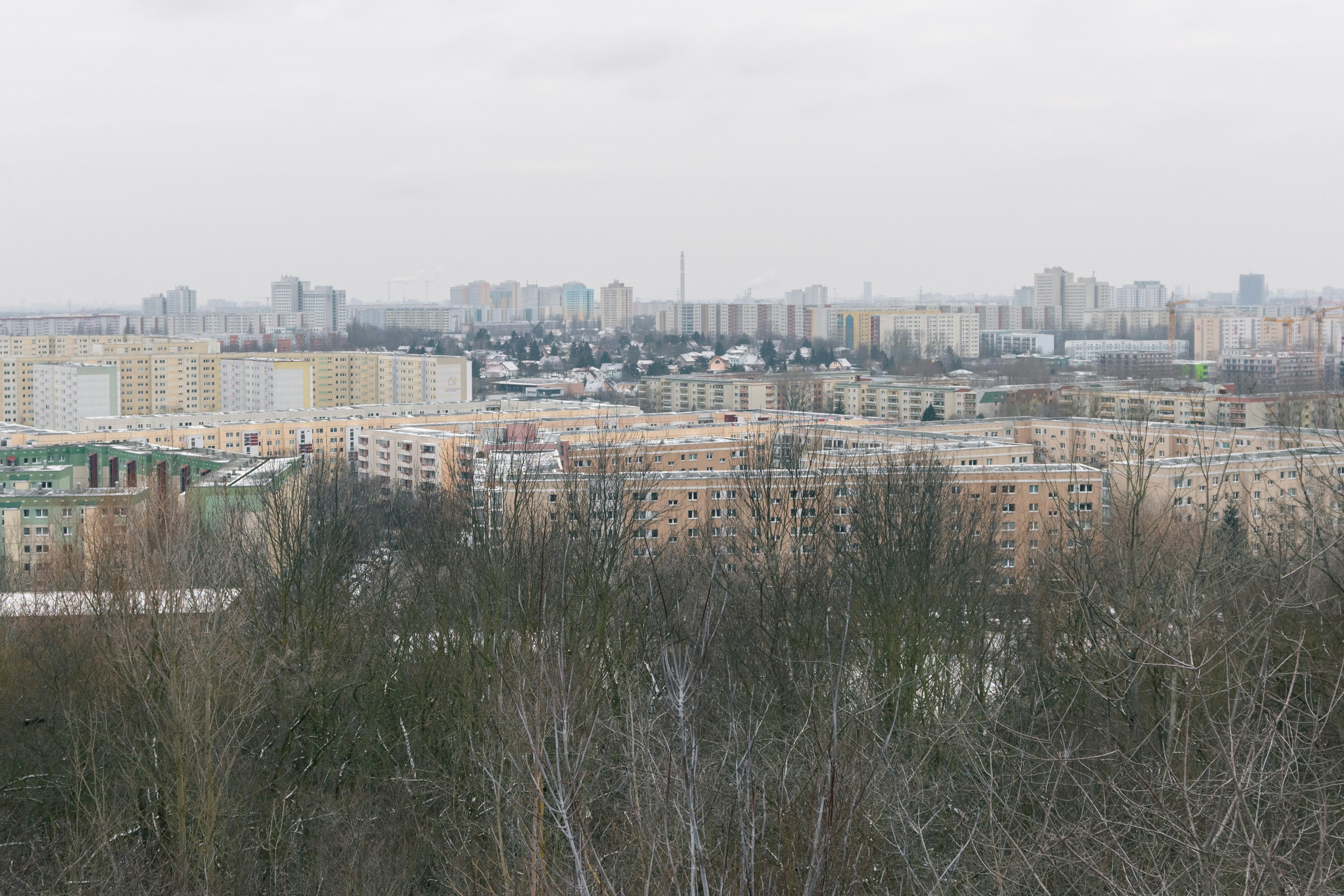 Photo by Max Langelott with Sony Alpha 7R III