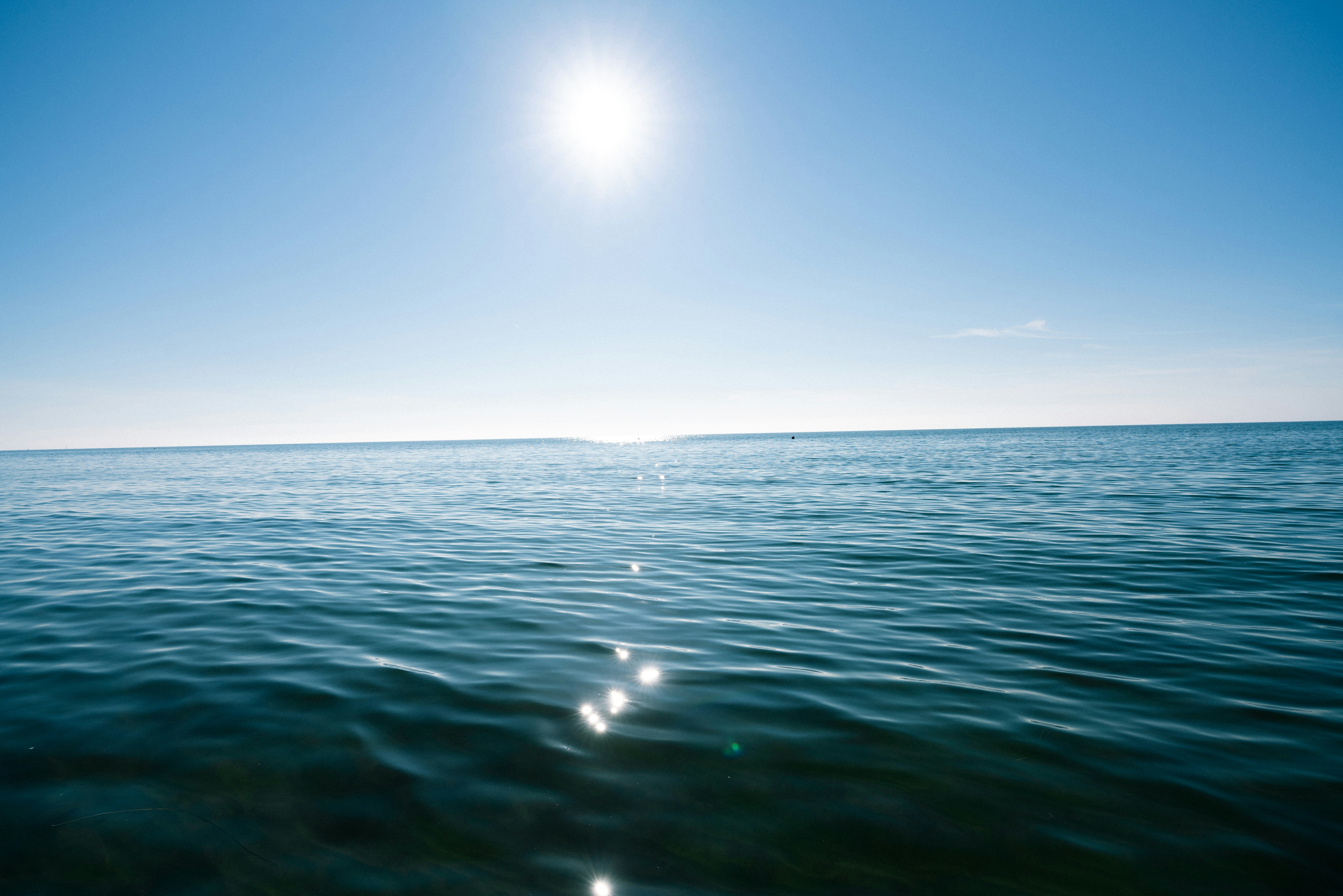 Photo by Max Langelott with Sony Alpha 7R III