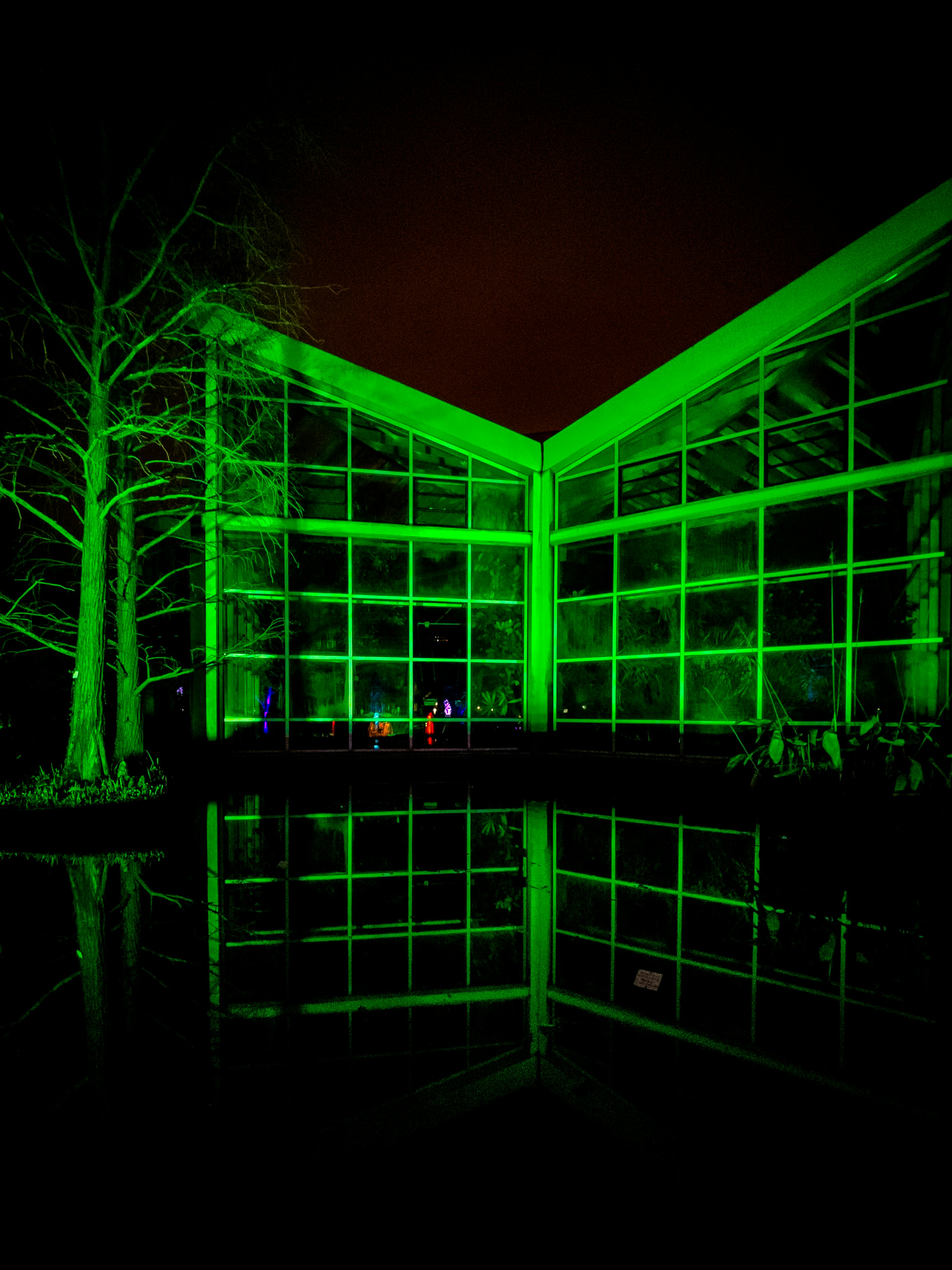 Emerald Glass Atrium, Night Bloom