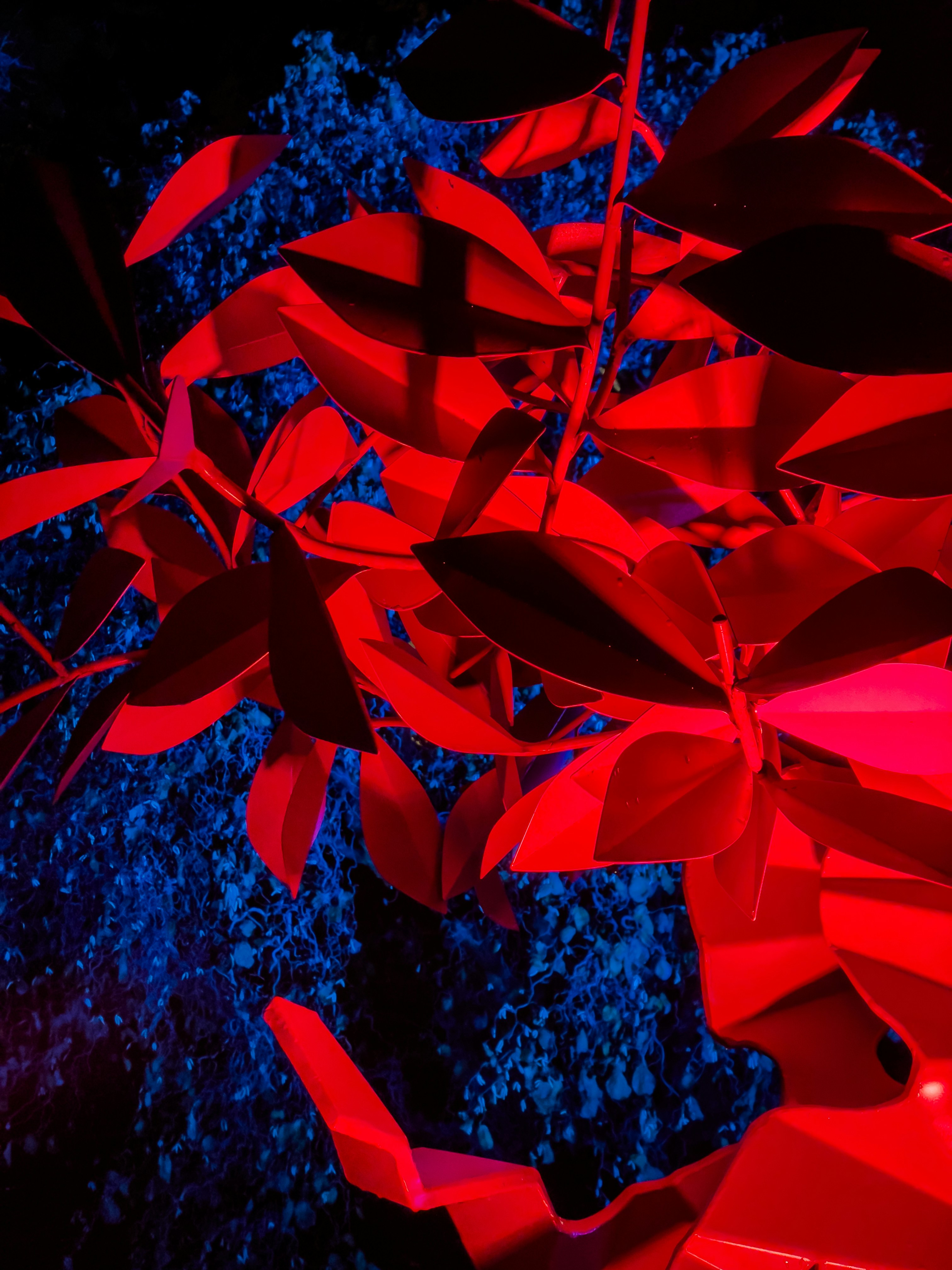 Crimson Leaves in Neon Night