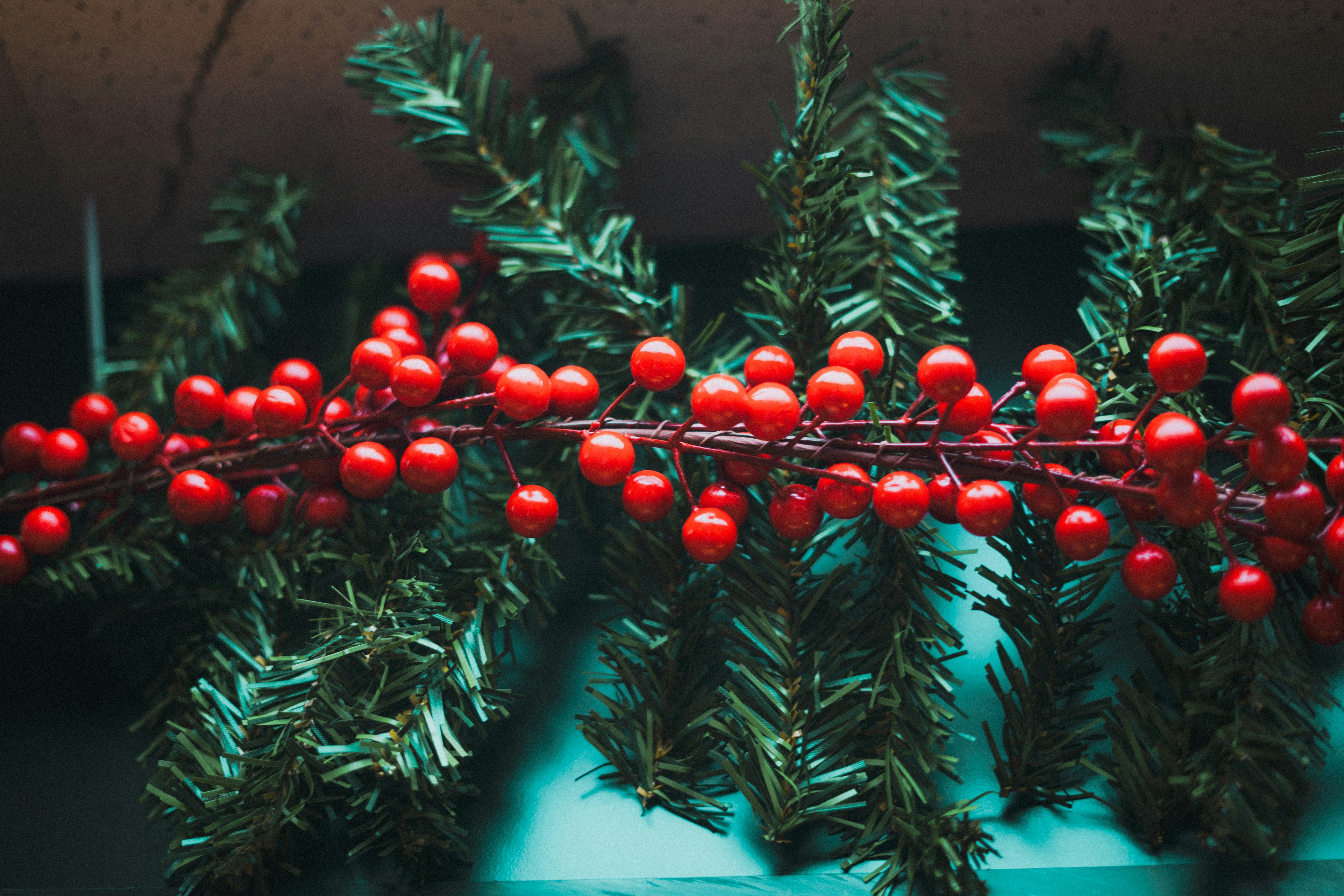 Red Berries on a Pine Needle Thread