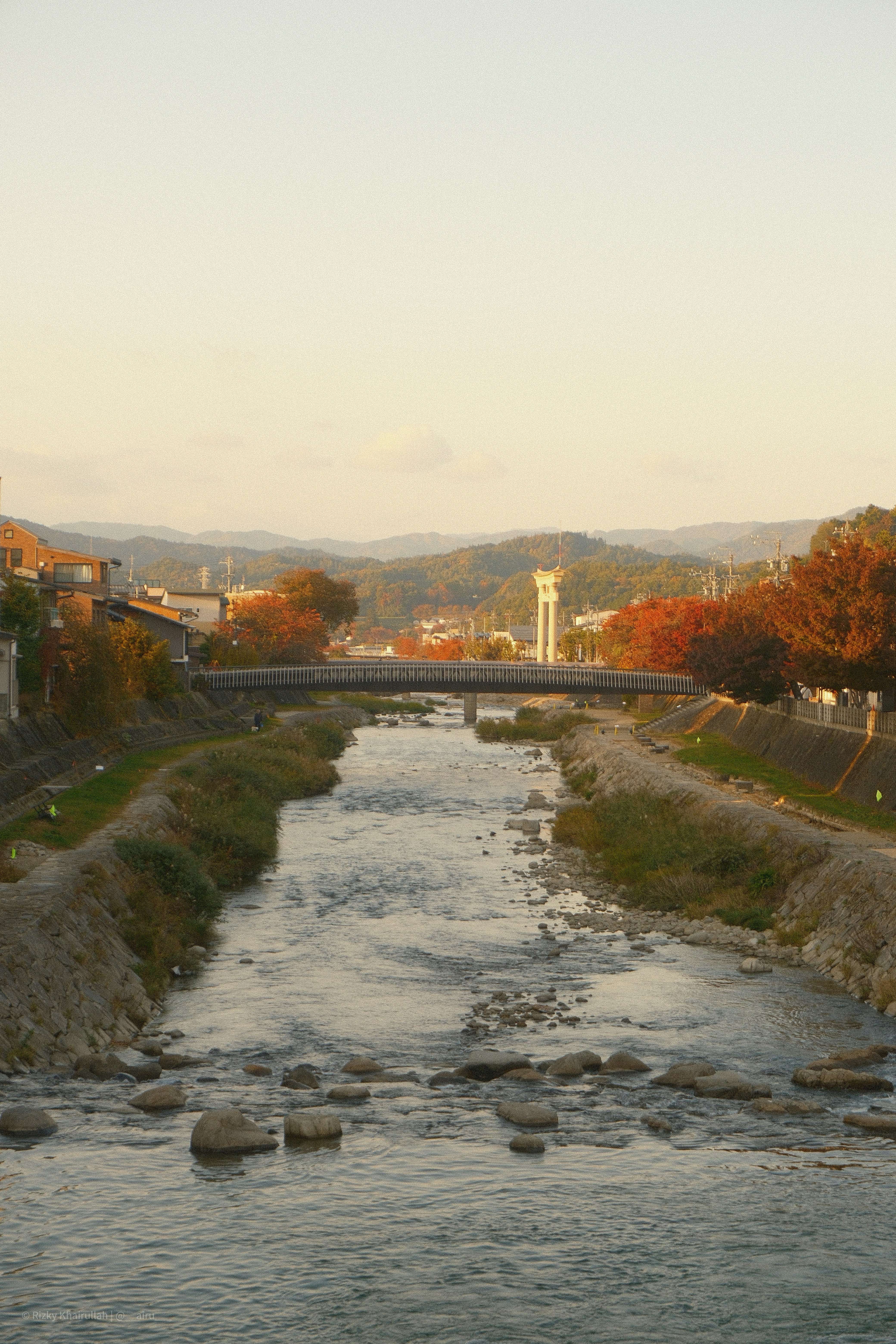 River Corridor in Late Afternoon Light