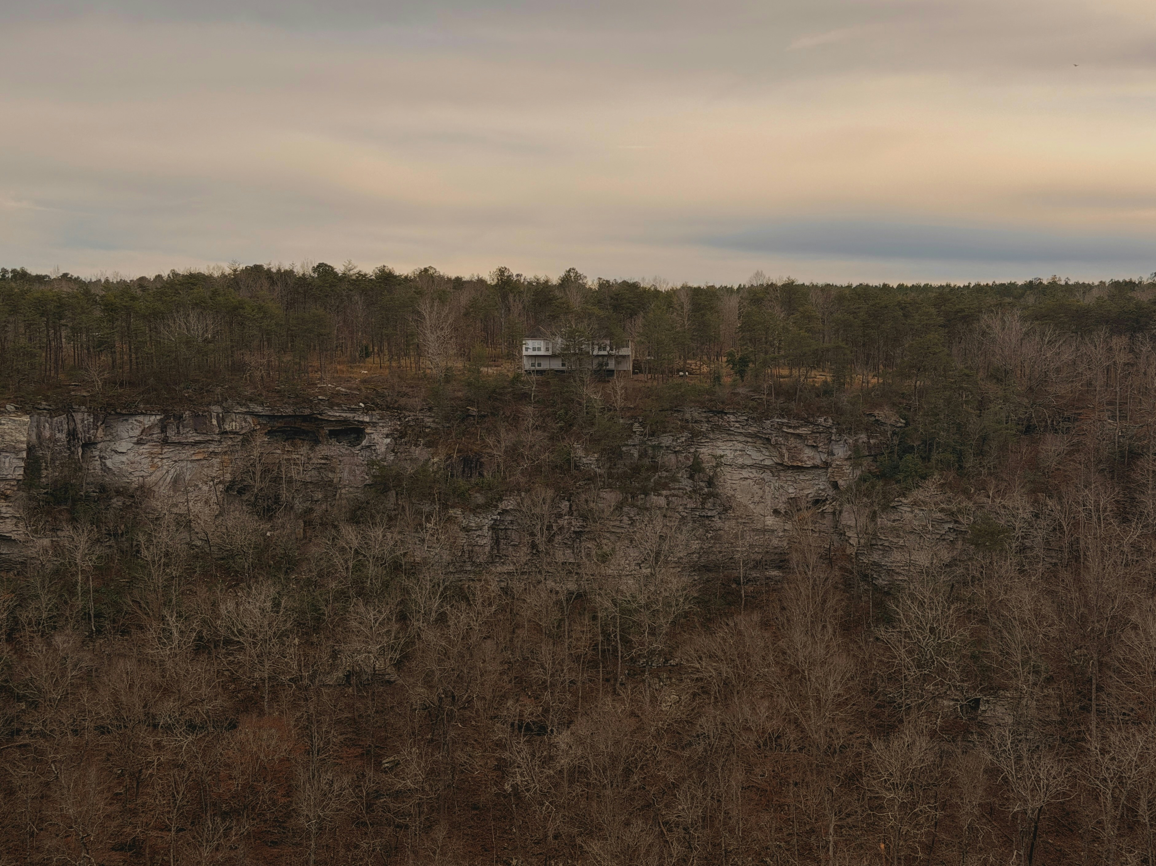 Hidden Lookout Above the Leaf-Bare Forest