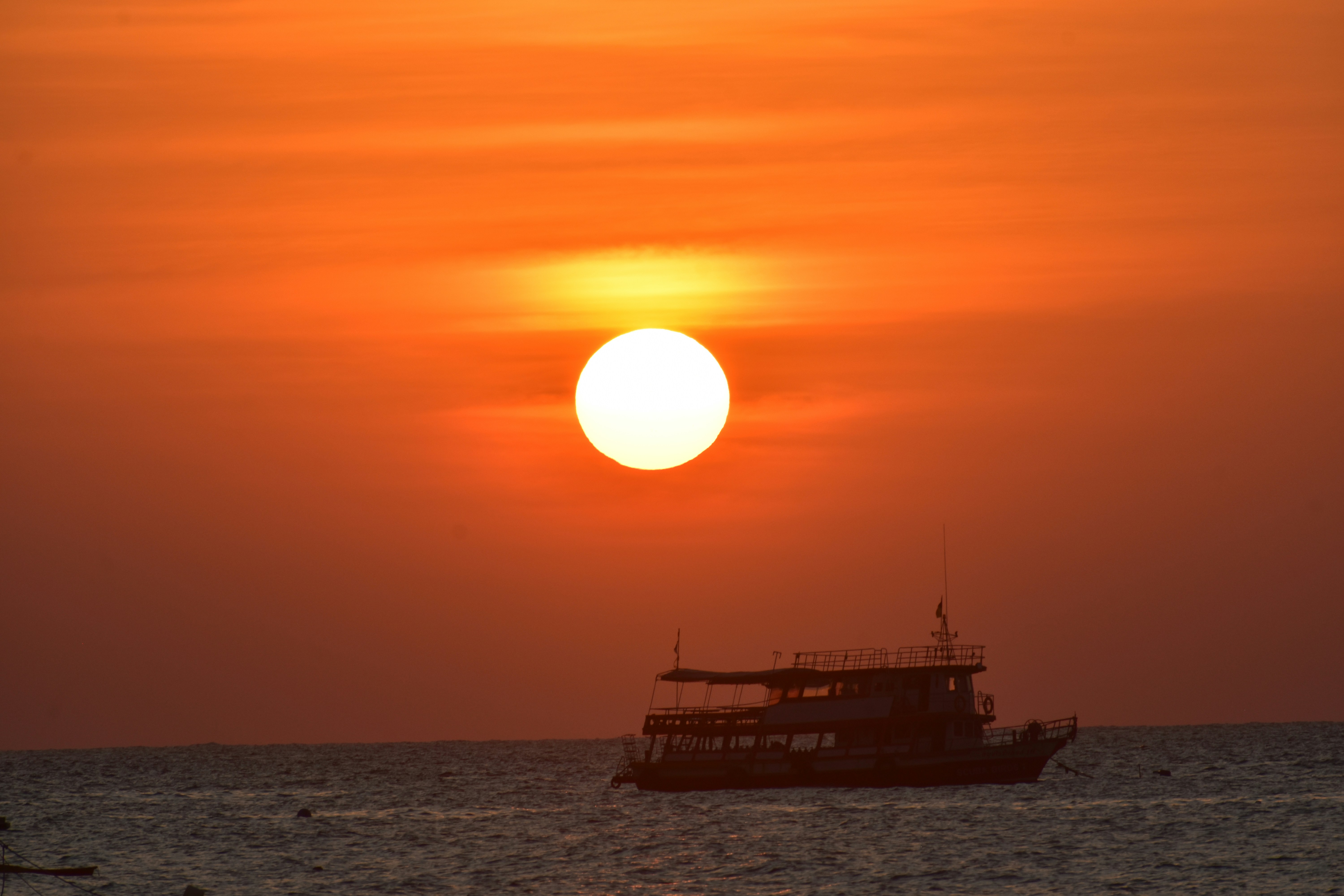 Photo by Desiree M with Nikon D5600