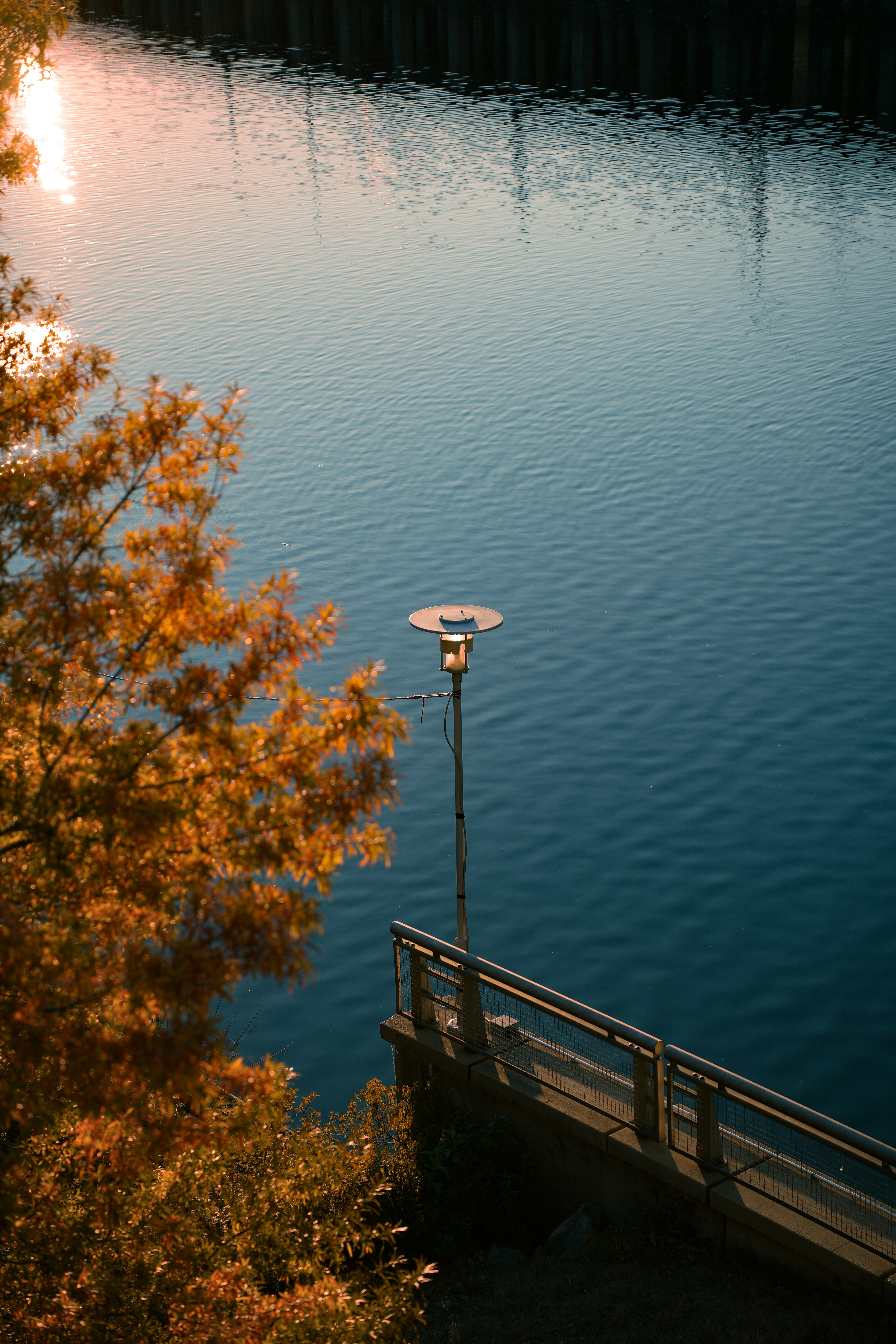 Autumn Wharf: Echoes of Orange by the Riverside Lamp