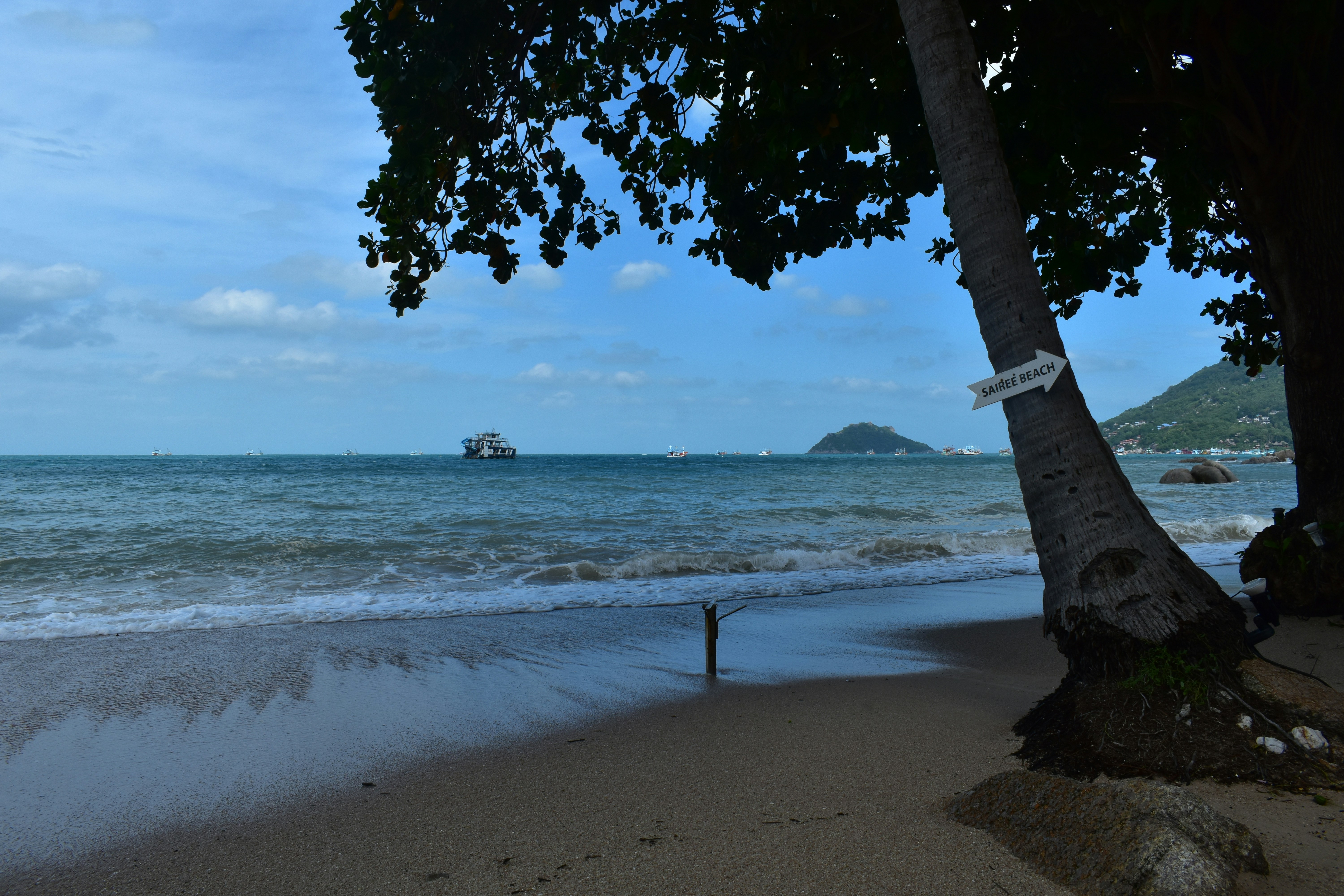 Photo by Desiree M with Nikon D5600