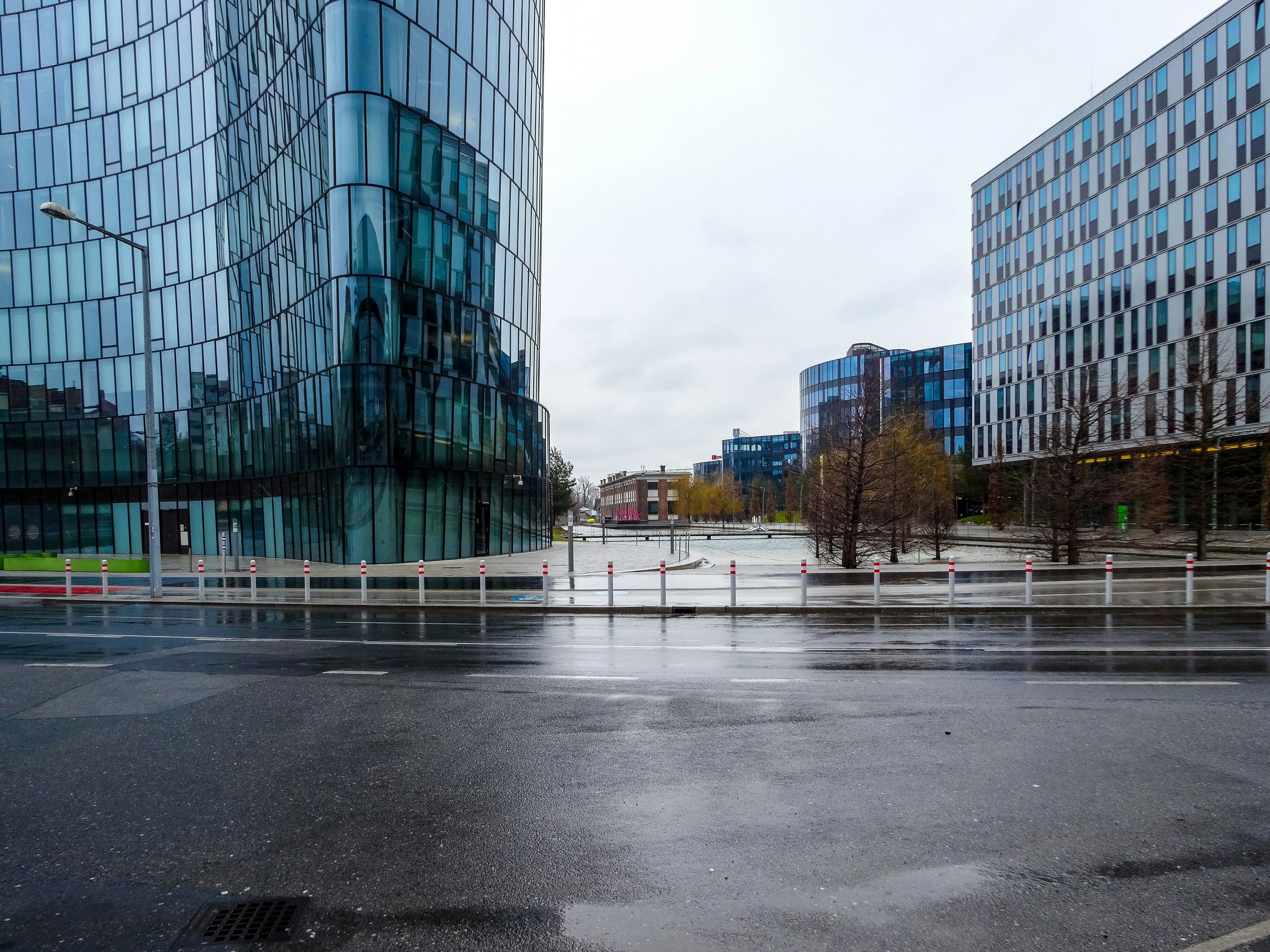 Glass Facades and Rain-Slick Street: A Modern Corner of the City