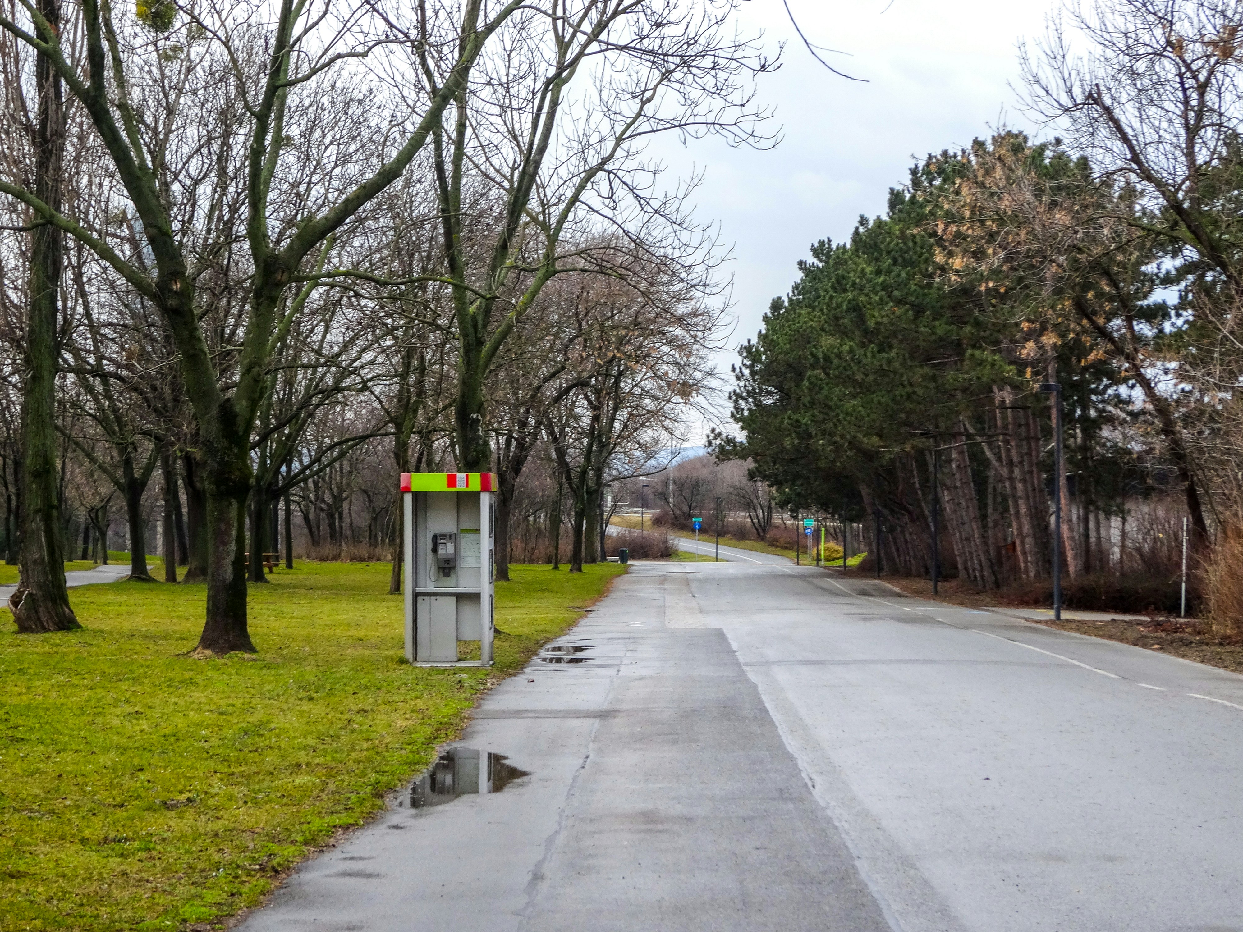 A lonely payphone stands by a park path