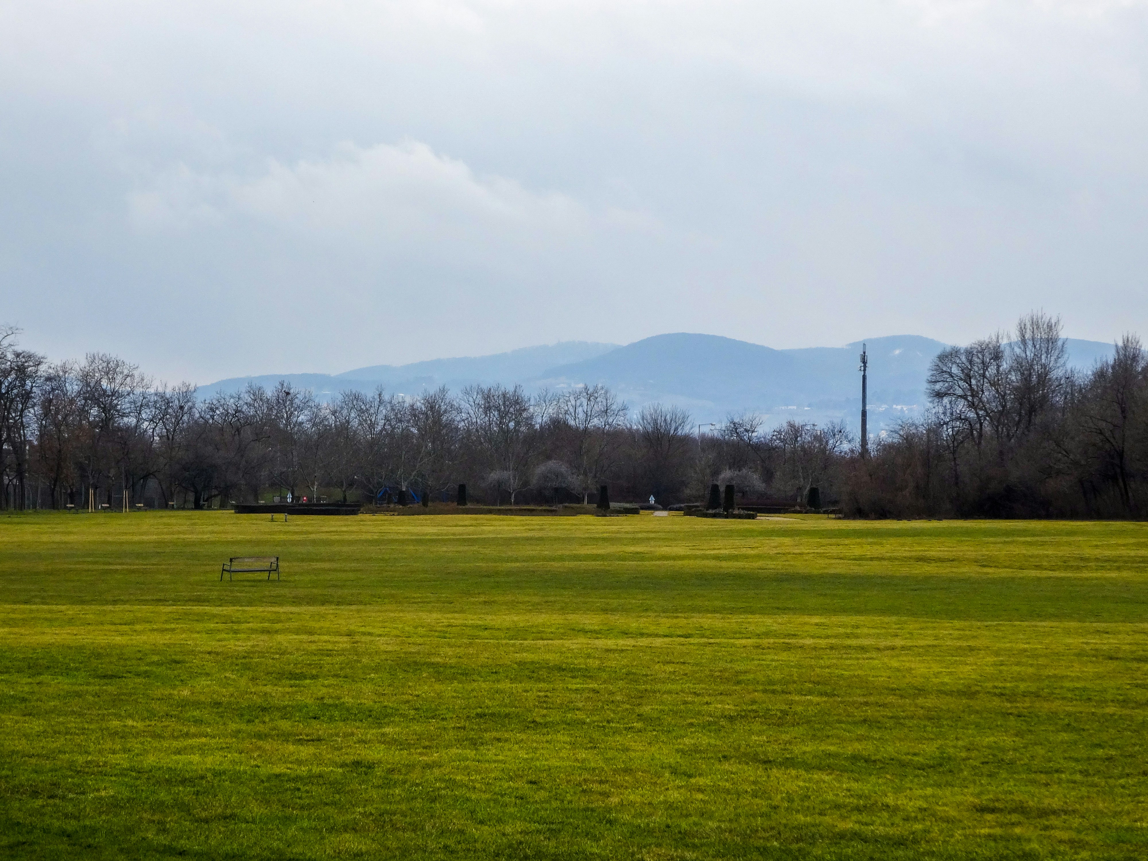 Quiet Field Under a Distant Ridge
