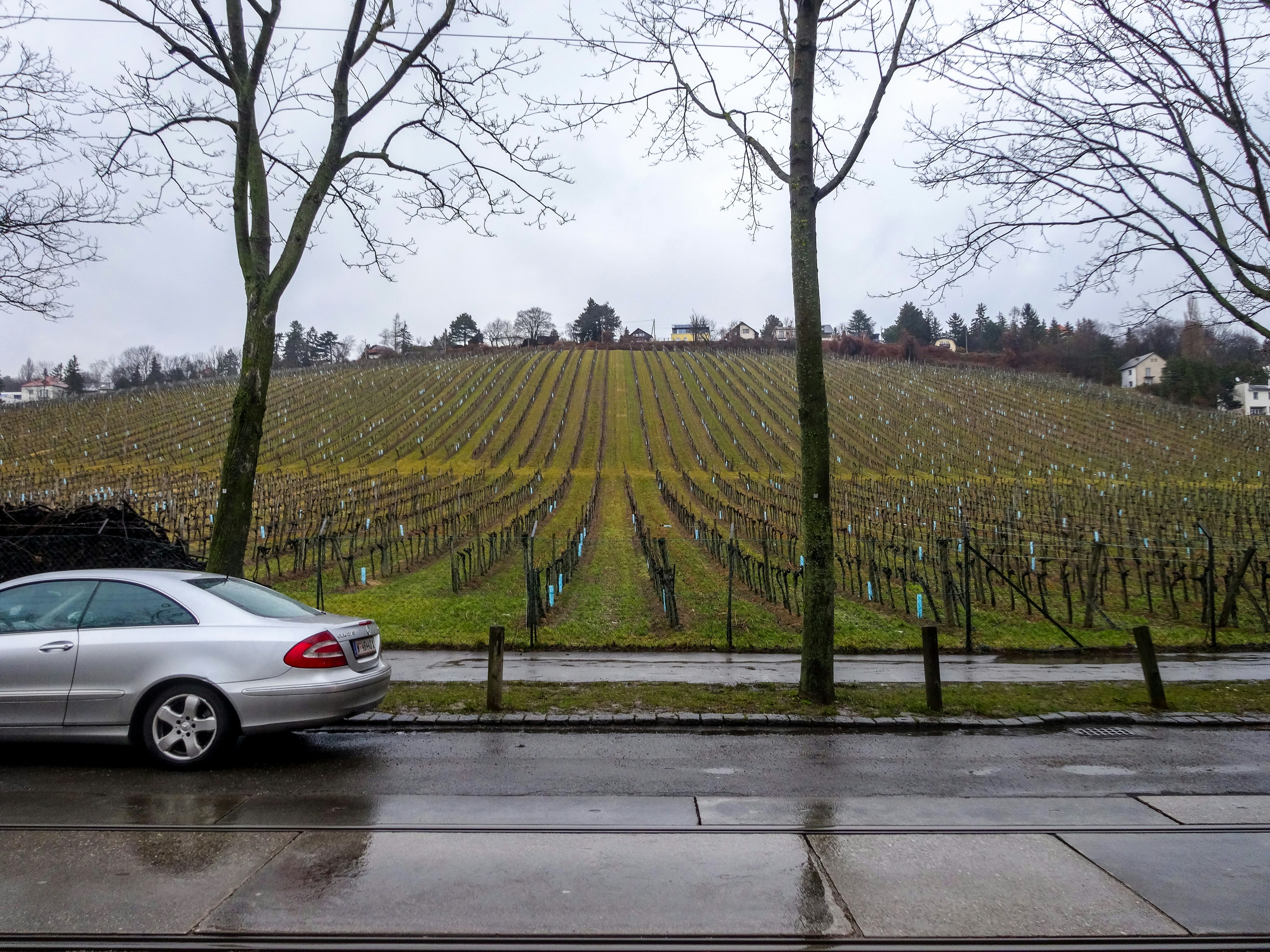 Photo by Nikolai Kolosov with Sony Cyber-shot WX300