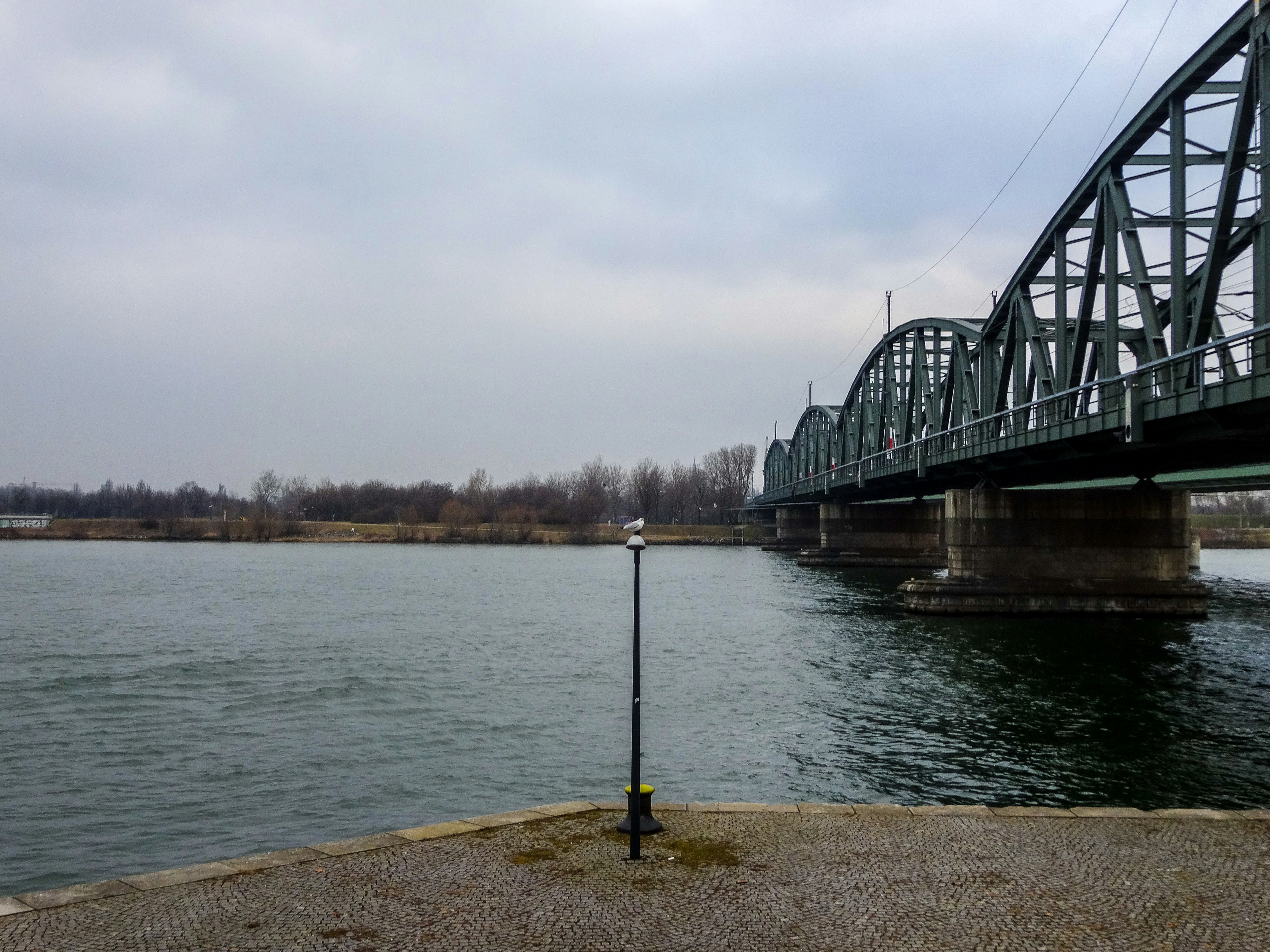 Photo by Nikolai Kolosov with Sony Cyber-shot WX300