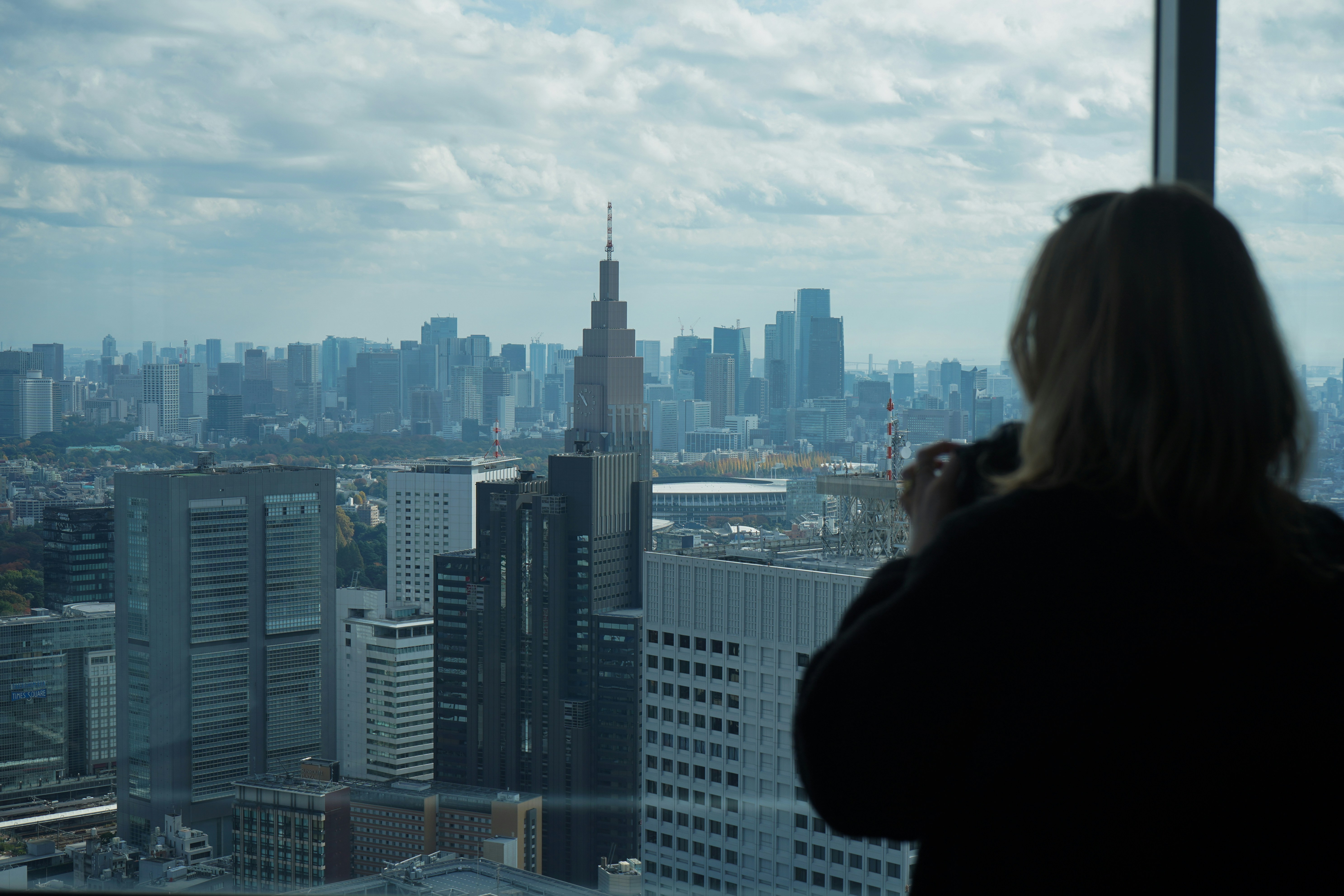 Observing Tokyo from Glass Window
