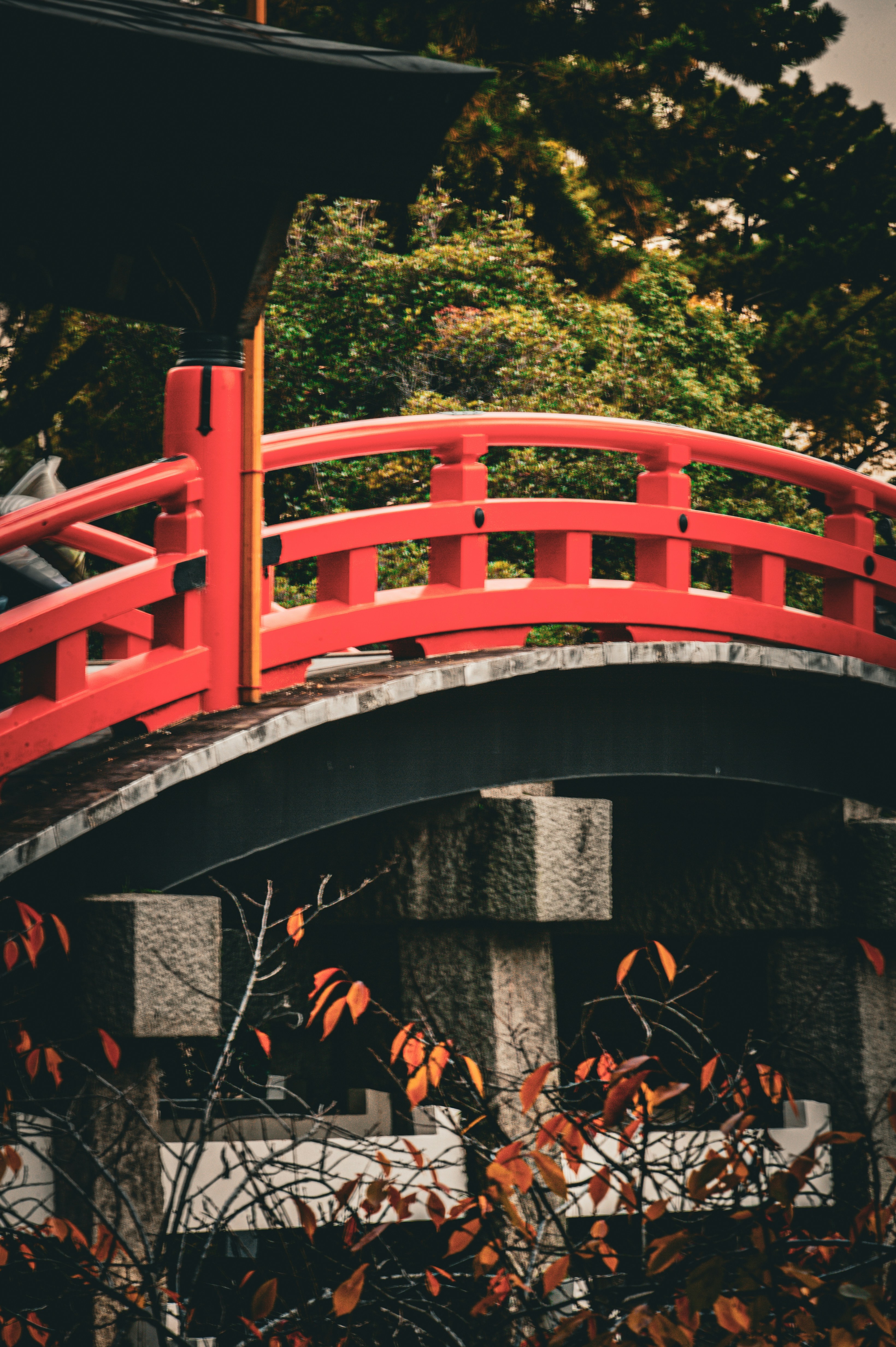 Crimson Arch Over Quiet Water: A Bridge in Autumn Light