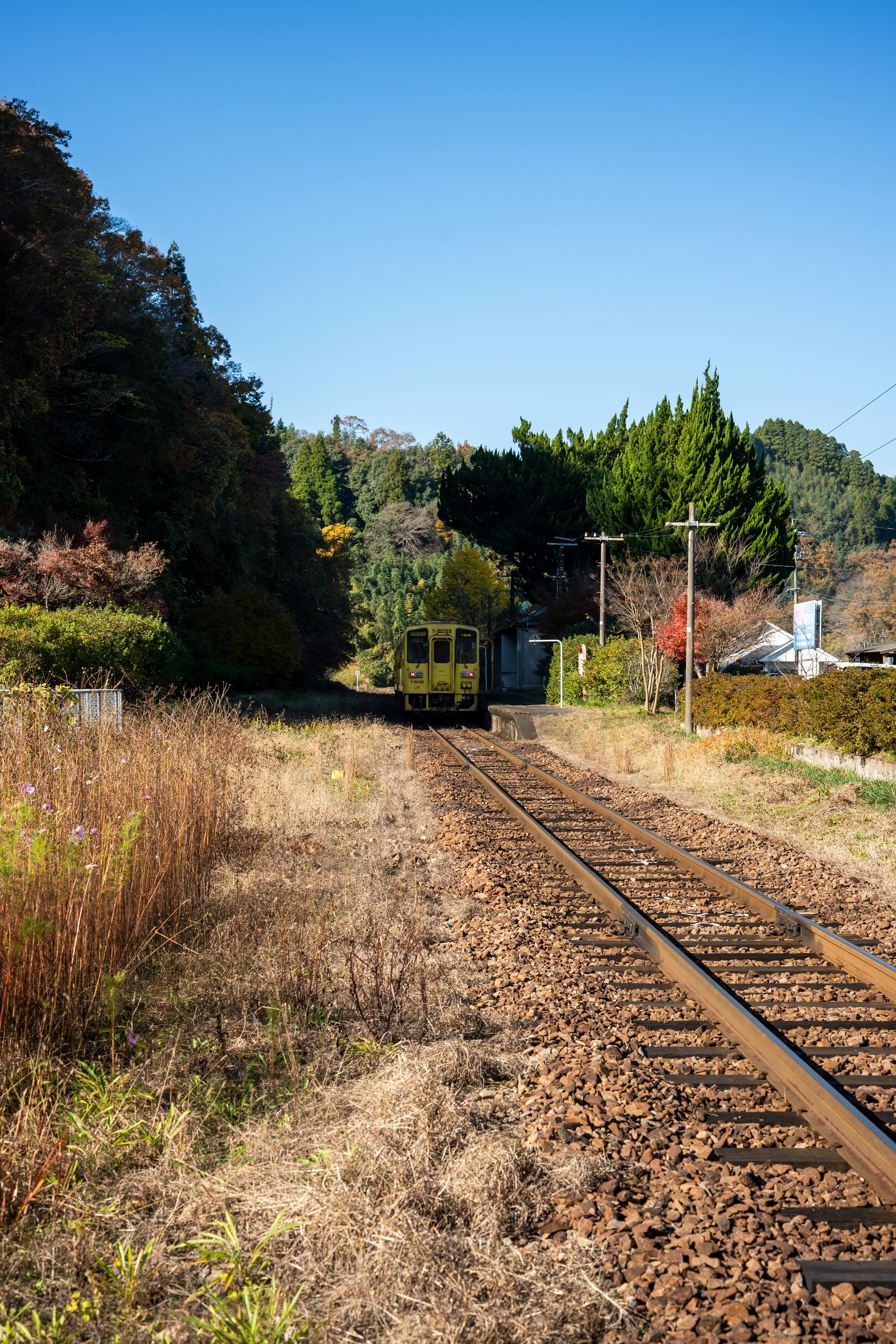 Photo by Kouji Tsuru with Nikon Z6 III