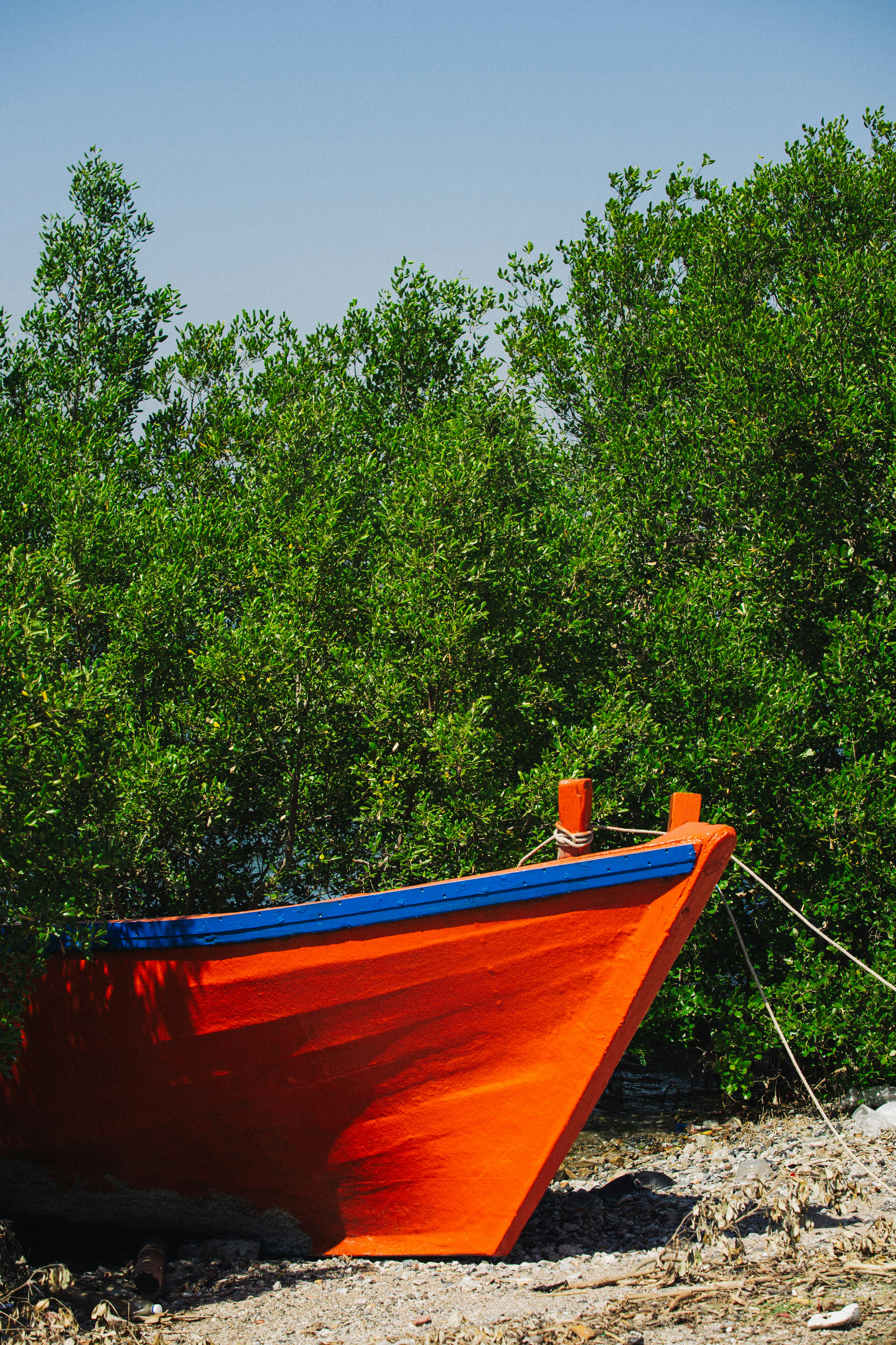 Crimson Bow Adrift: A Boat Resting among Coastal Mangroves