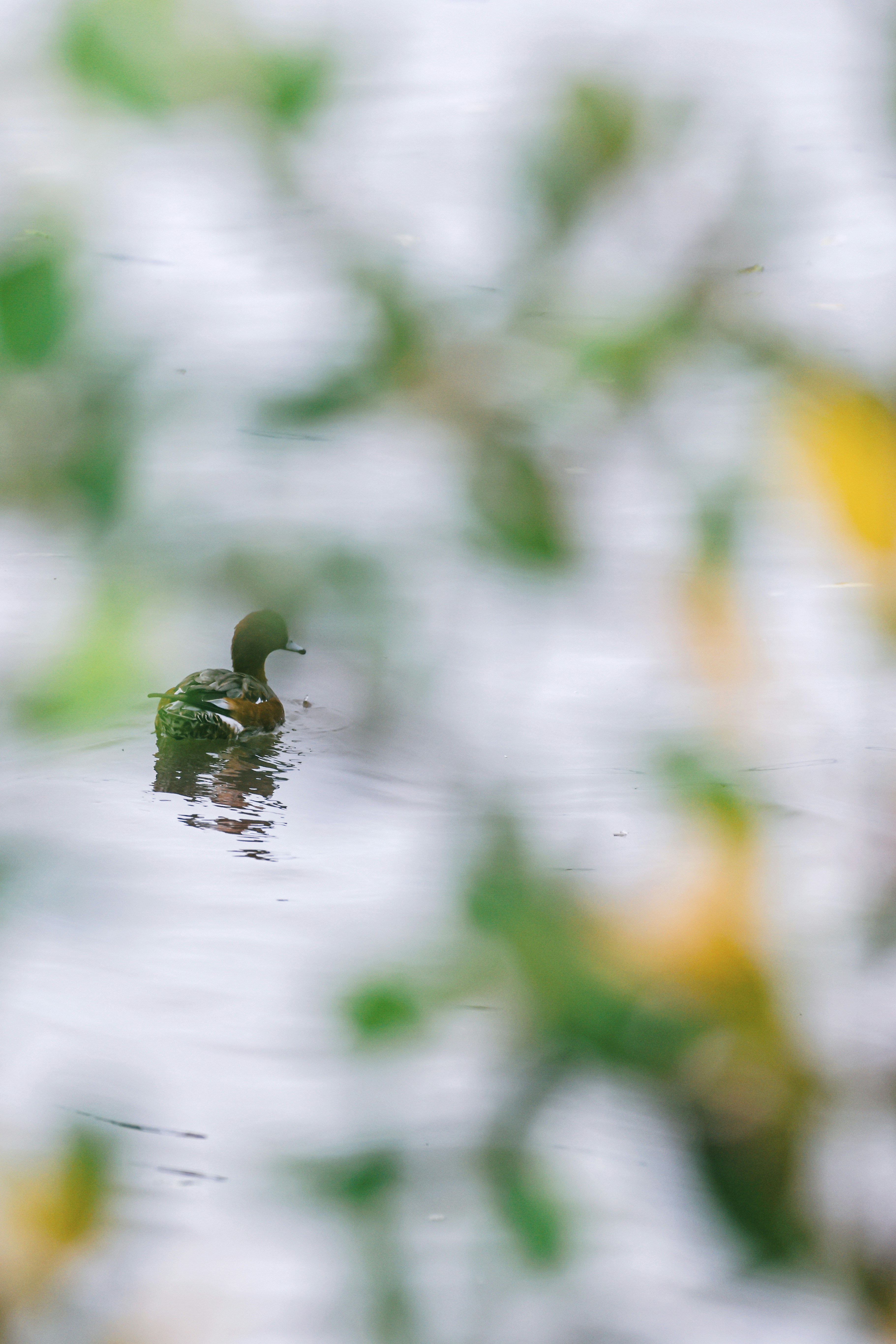 Created with RNI Films app. Profile 'Agfa Optima 200'