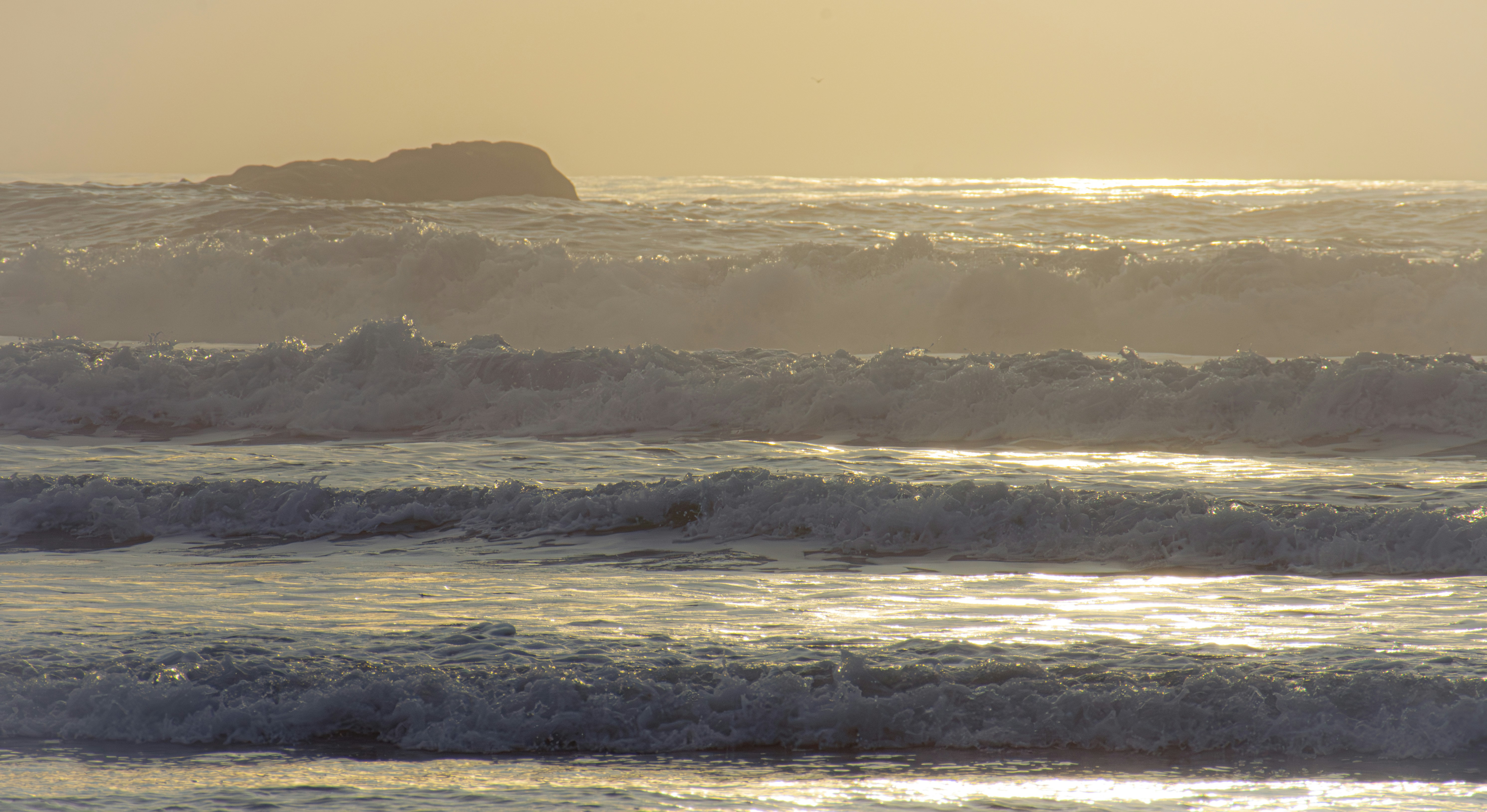 golden waves in these denim pockets