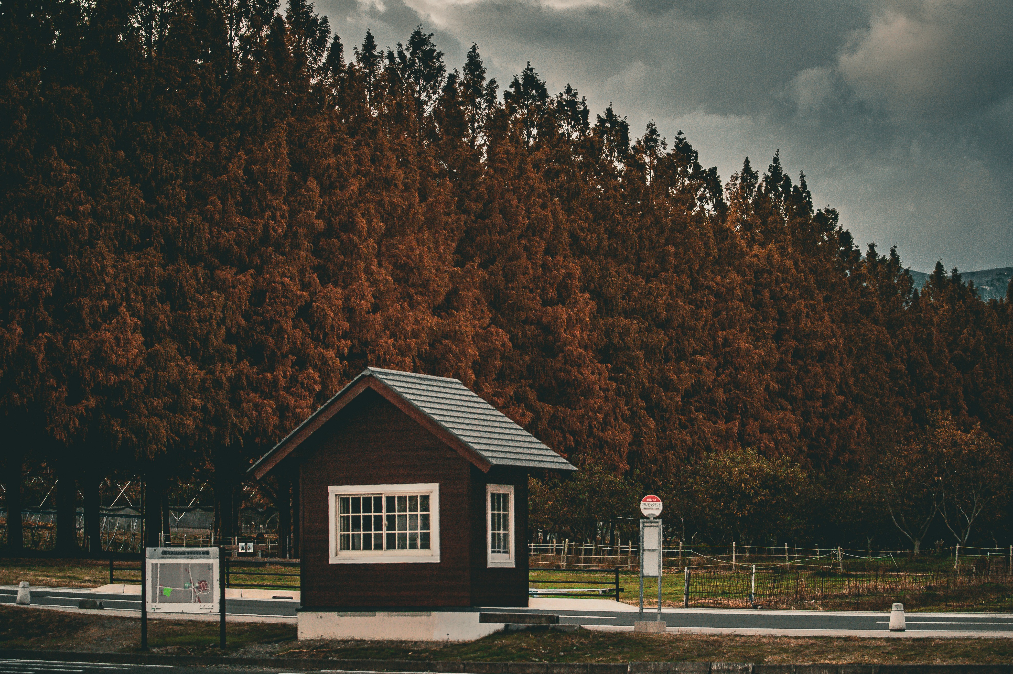 Small Rural Booth Quietly Guarding the Edge of a Forest