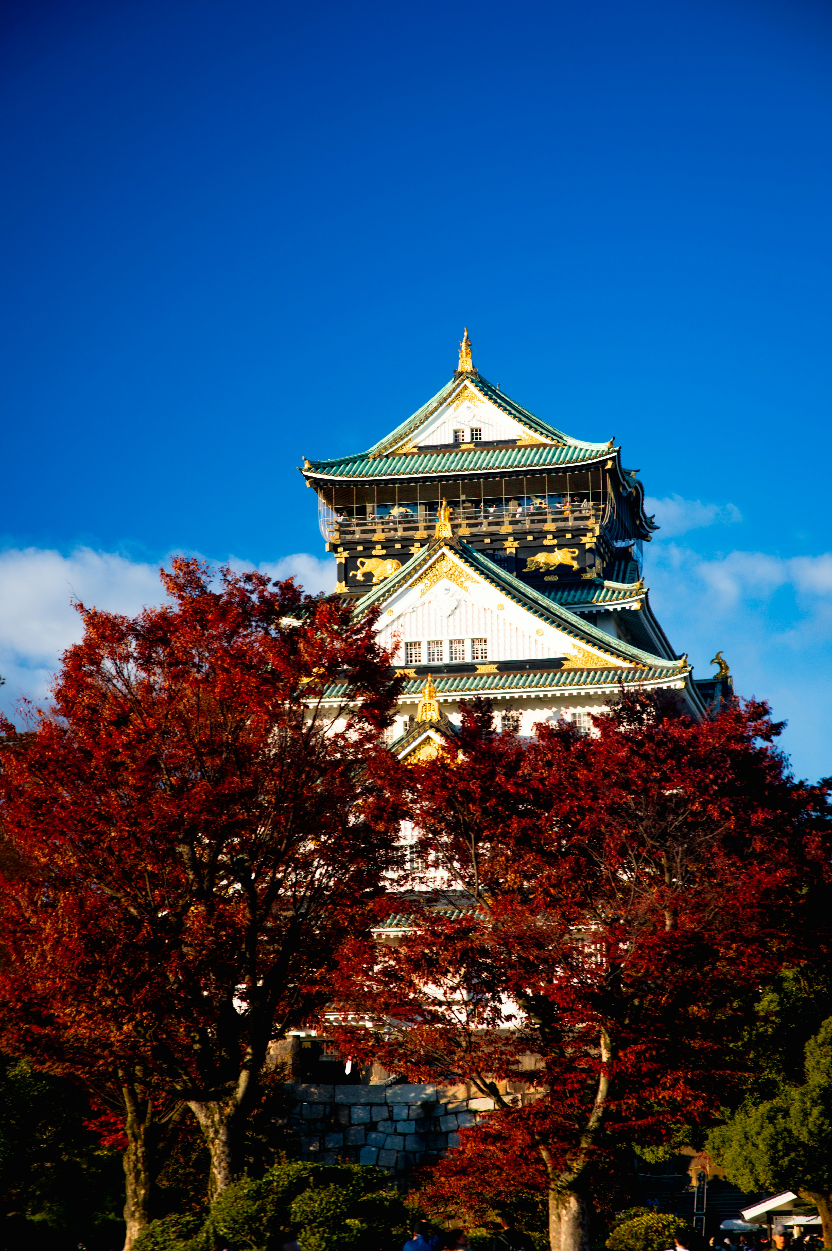Autumn Crown: A Japanese Castle Rising Between Crimson Leaves