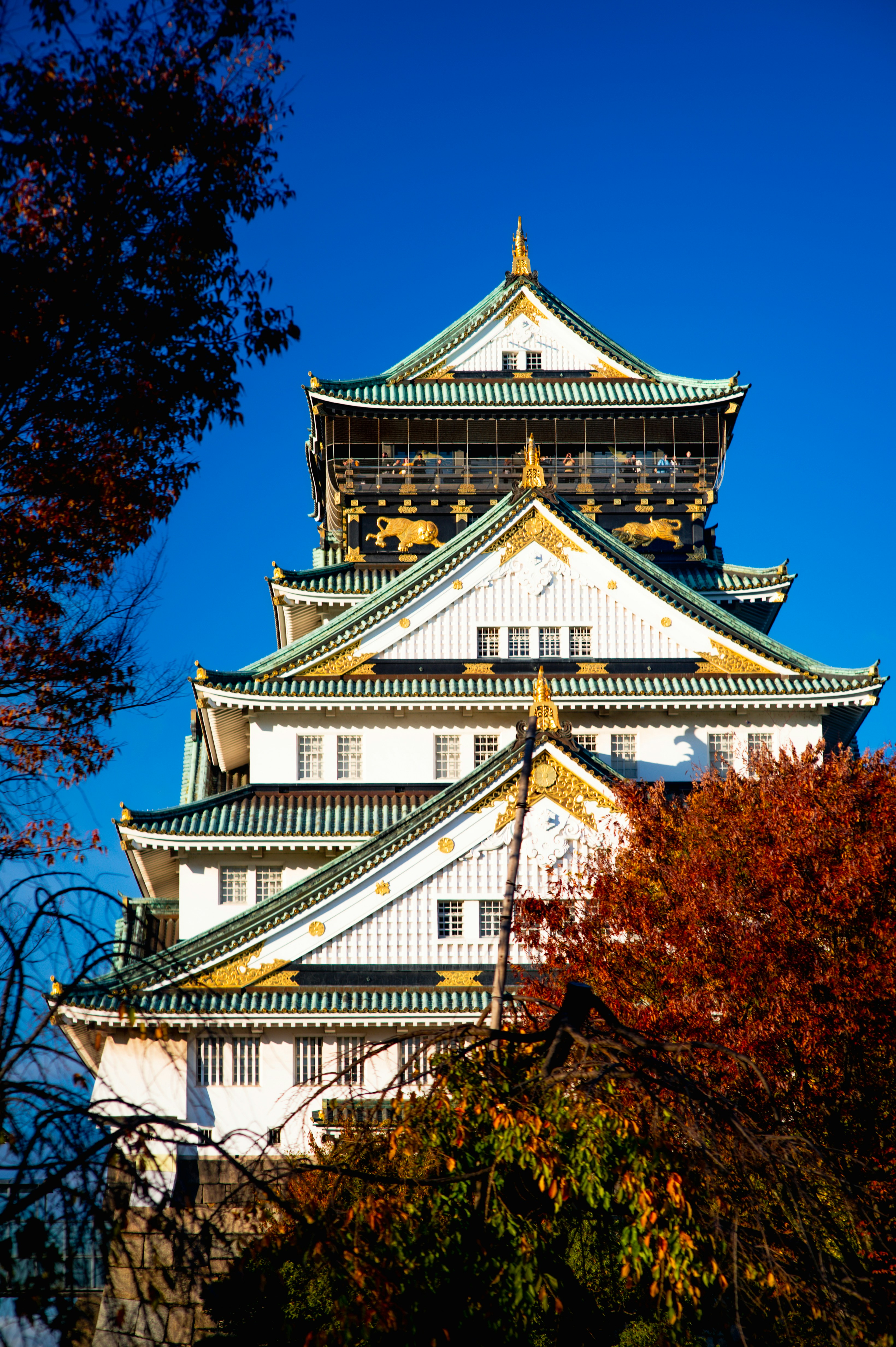 Tiered Gables in Blue: Tokyo Castle Against Autumn Canopy