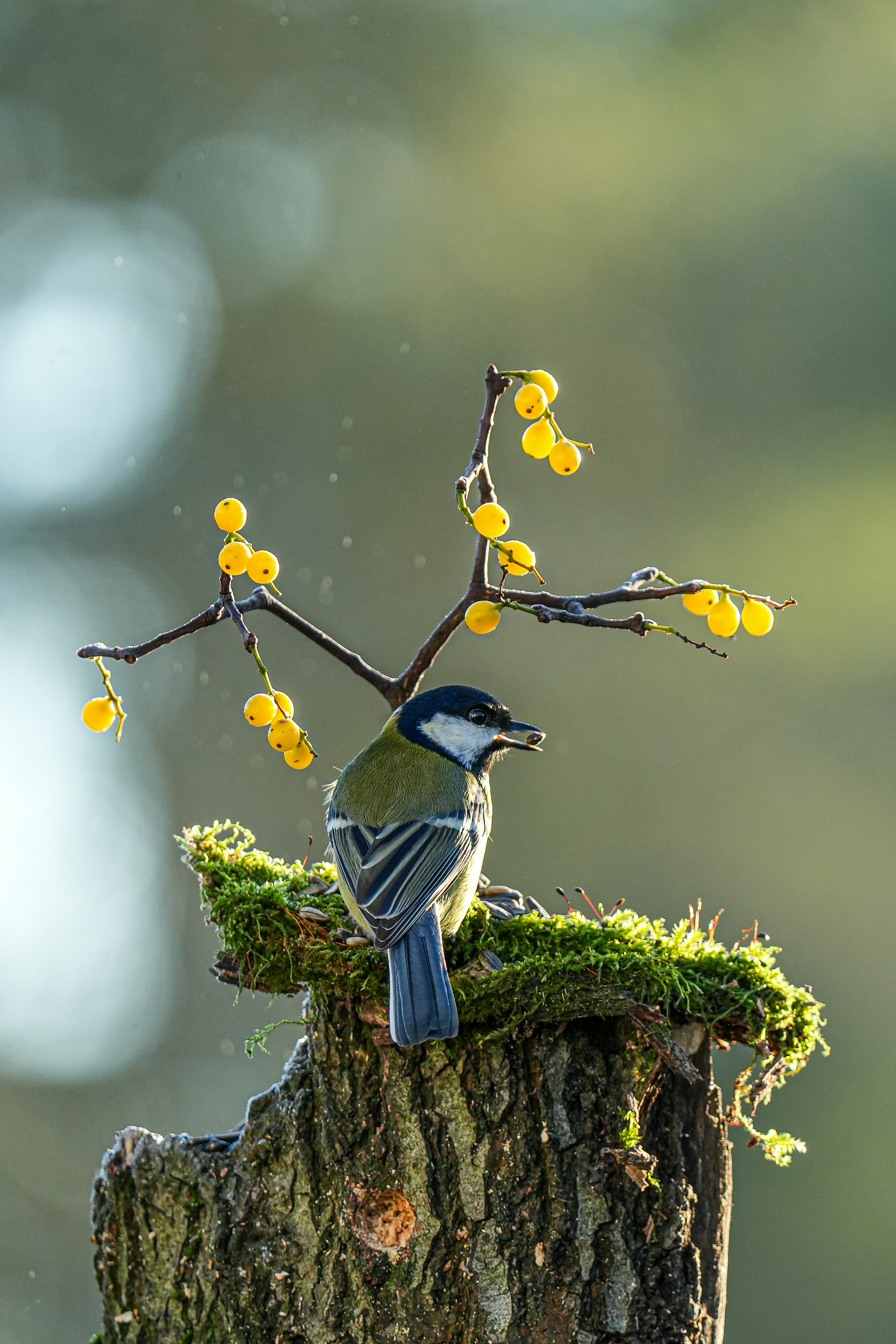 Photo by Nikola  Tomašić with Sony Alpha 7 IV