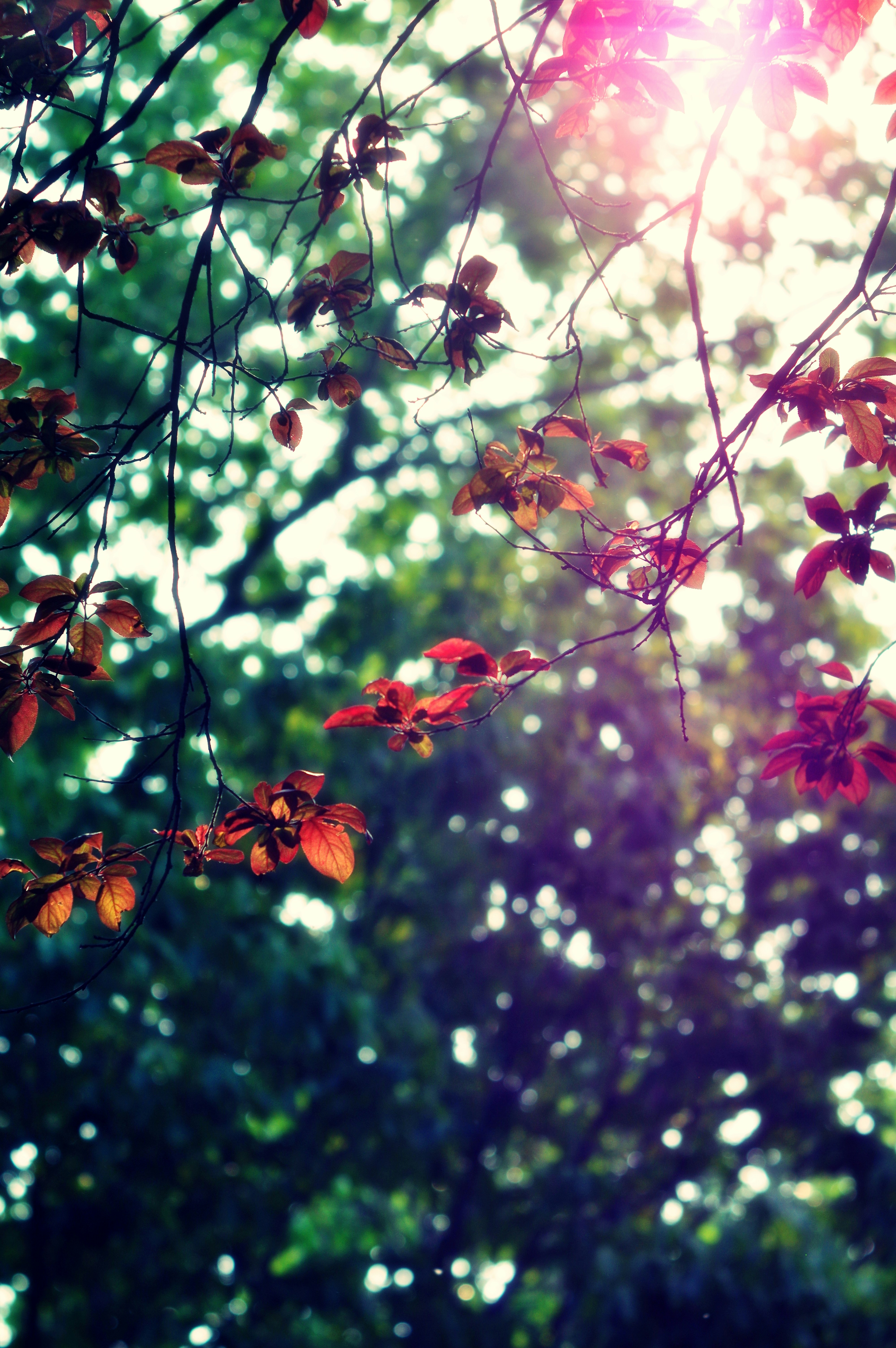 Photo by Chris DUNN with Pentax K-3