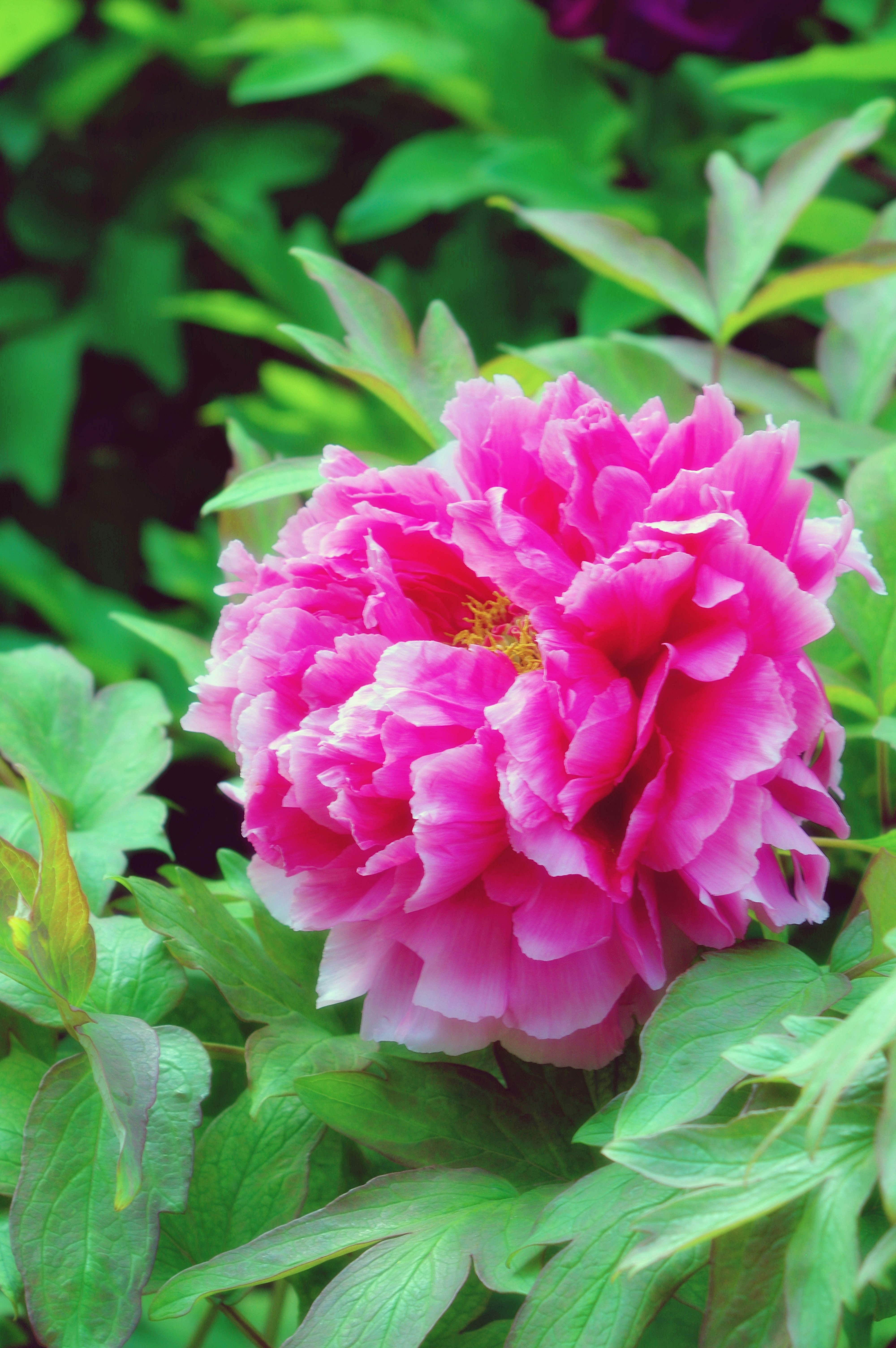 Photo by Chris DUNN with Pentax K-3