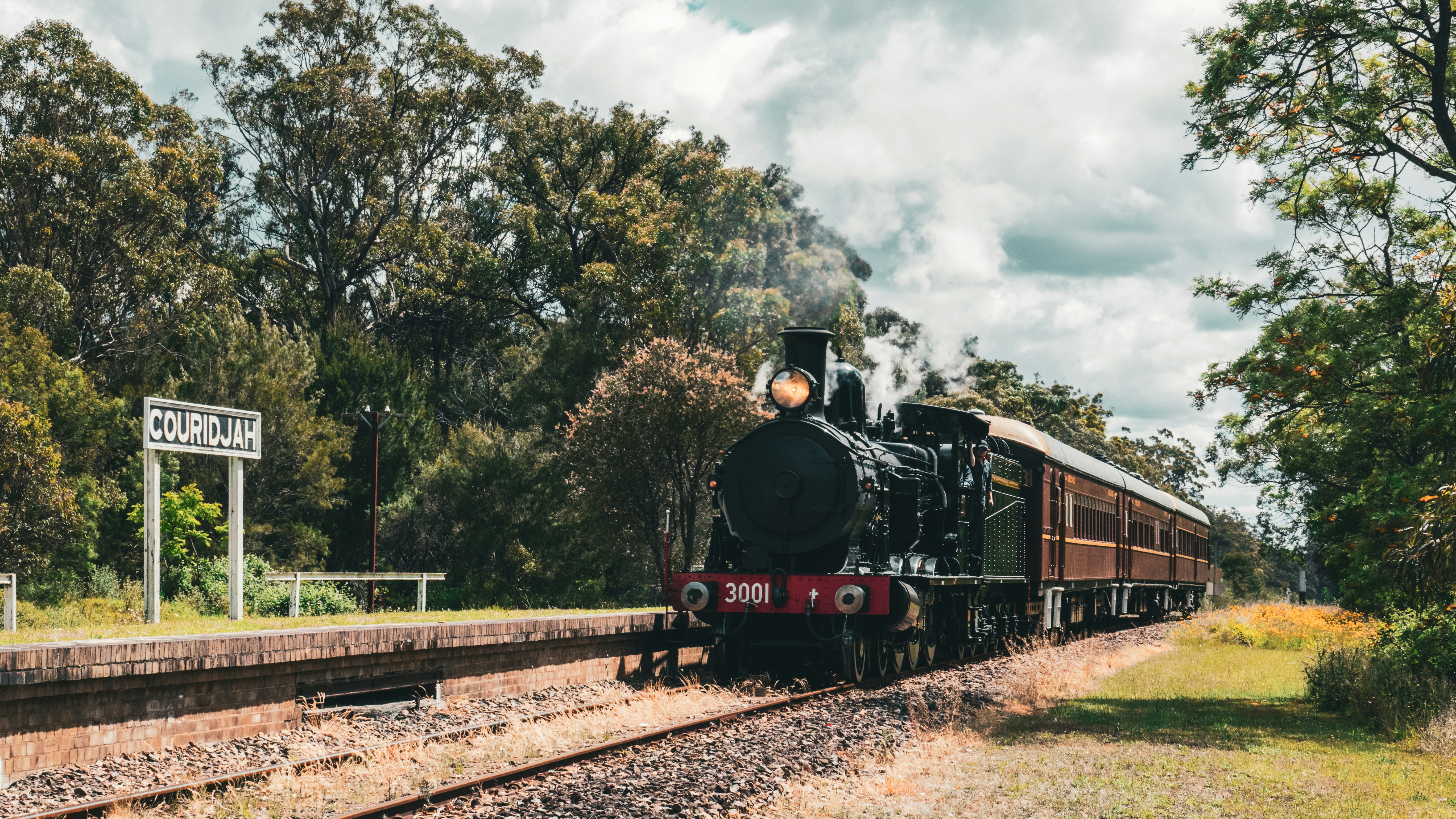 Gilded Rails: A Steam Engine Traverses the Quiet Countryside