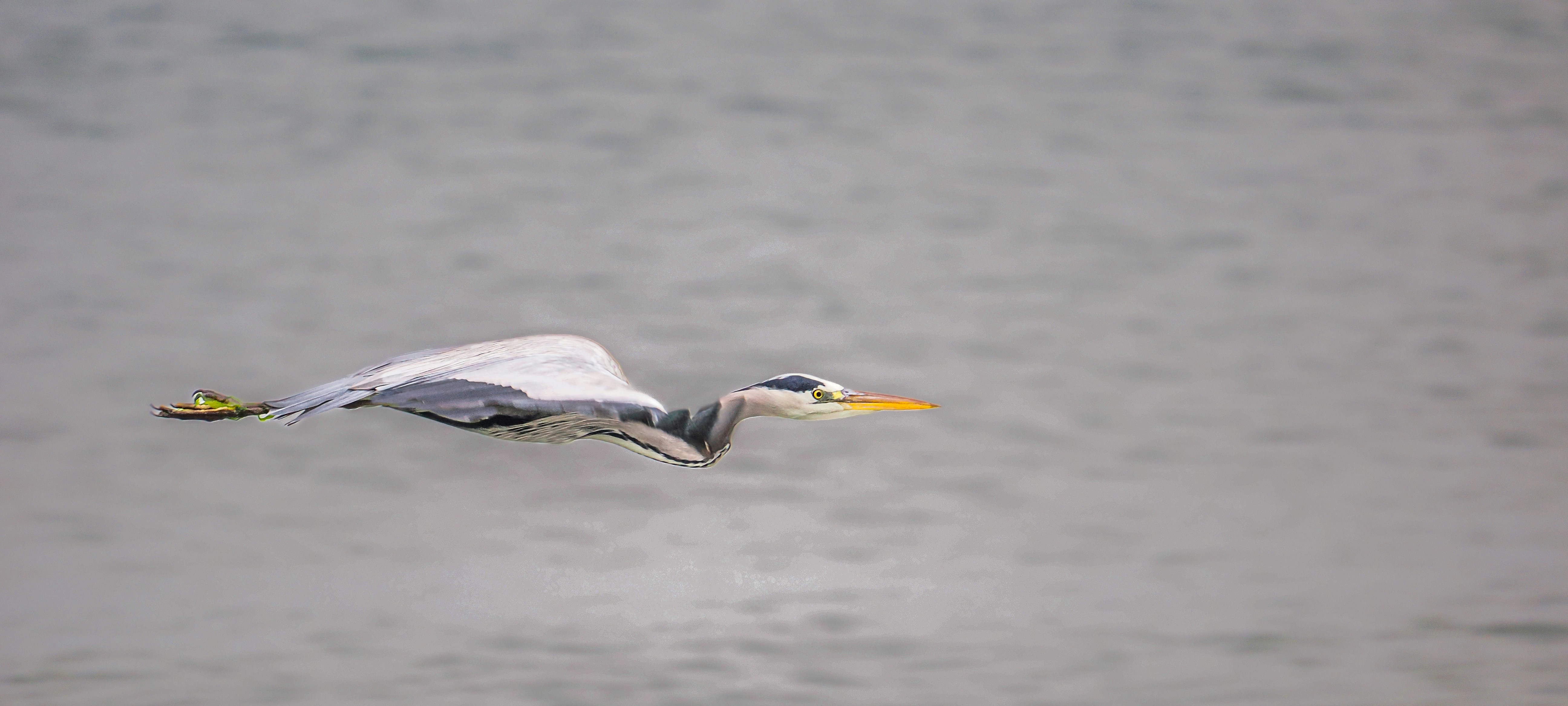 Photo by Mimmo Sigismondi with OM System OM-1