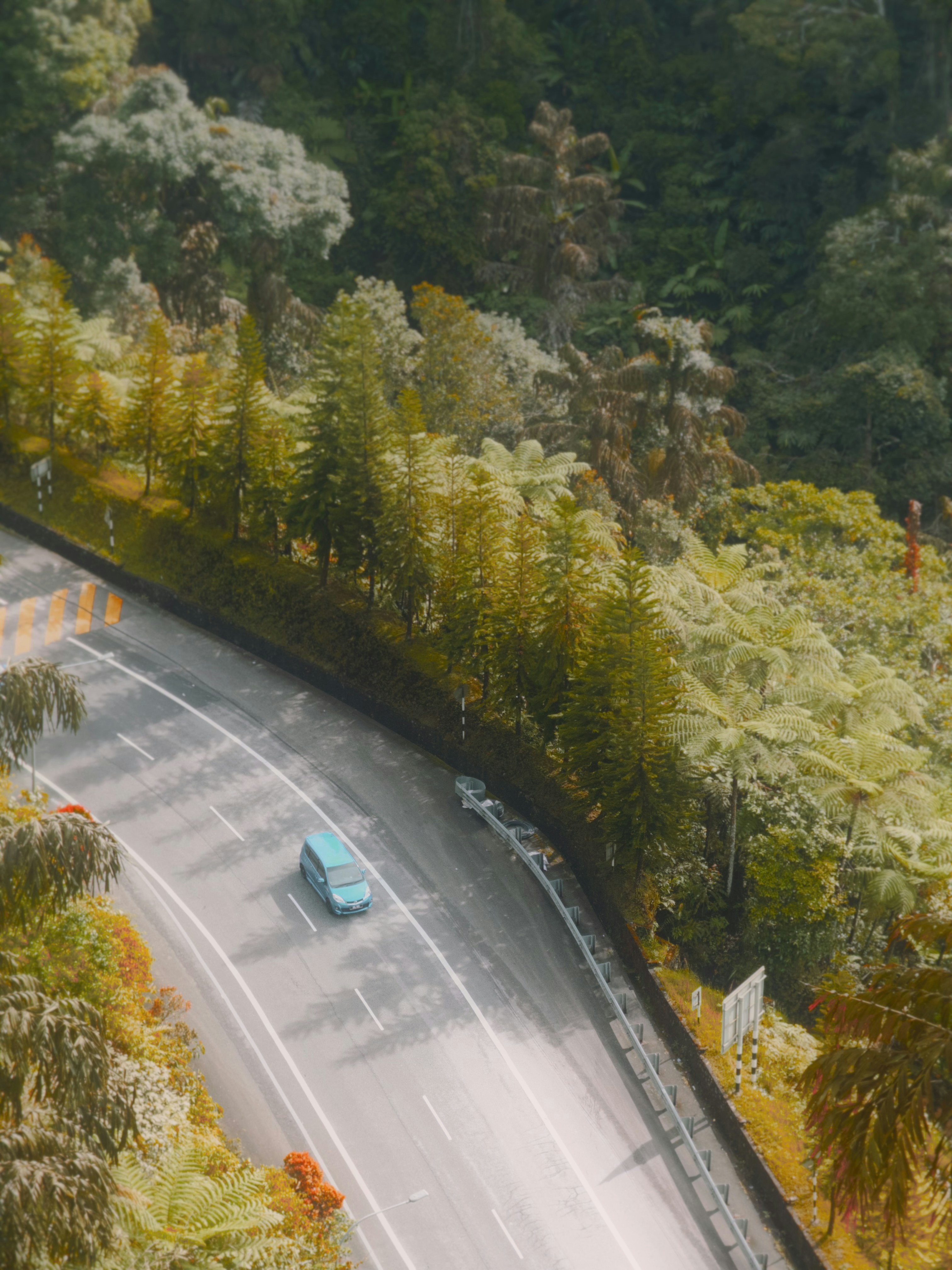 Hananda Zuhdi (@icyfoxz) | Komunitas Foto Unsplash