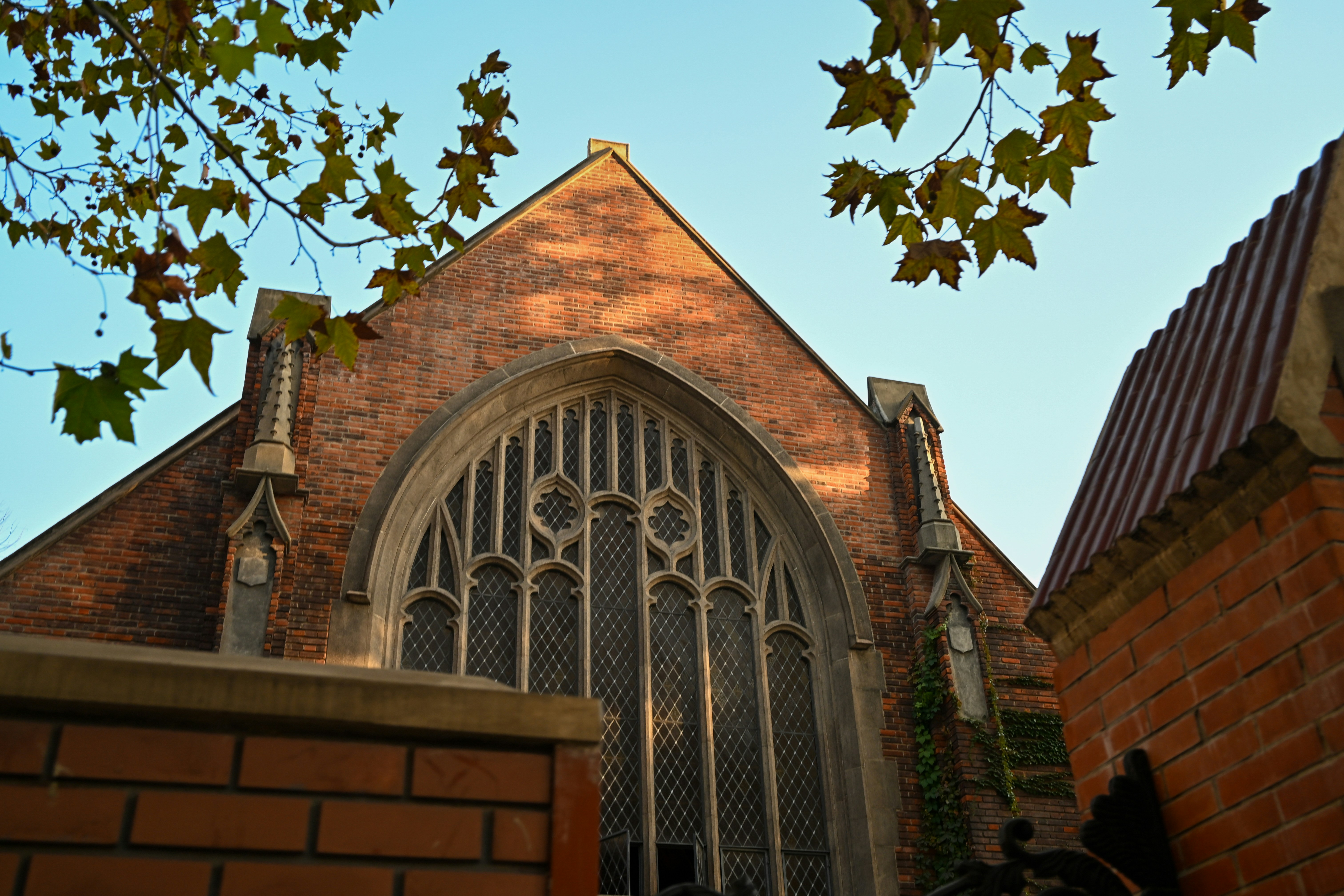 Photo by yanzheng xia with Nikon Zf