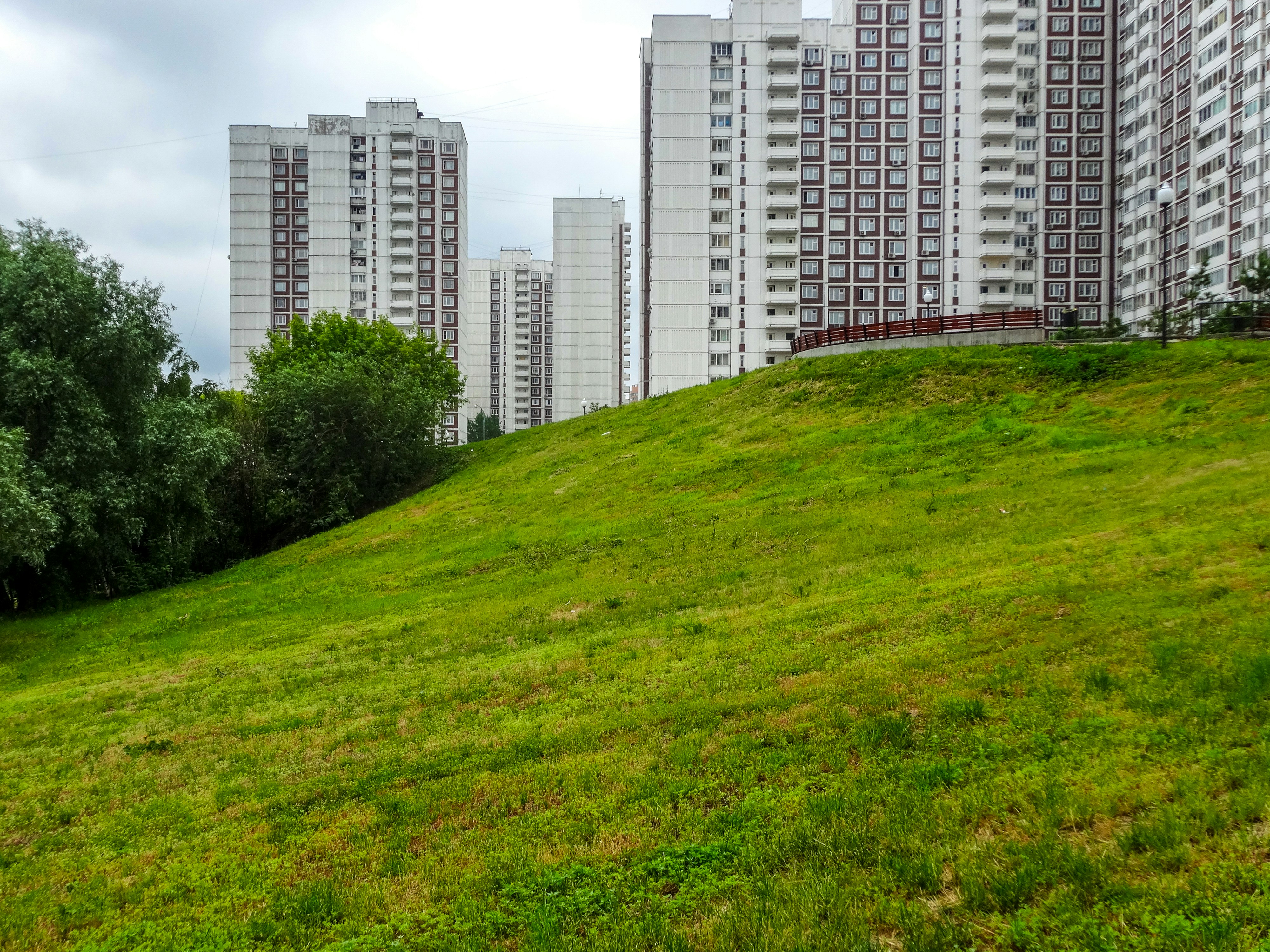 Urban Crest: Green Hill Meeting the Skyward Towers