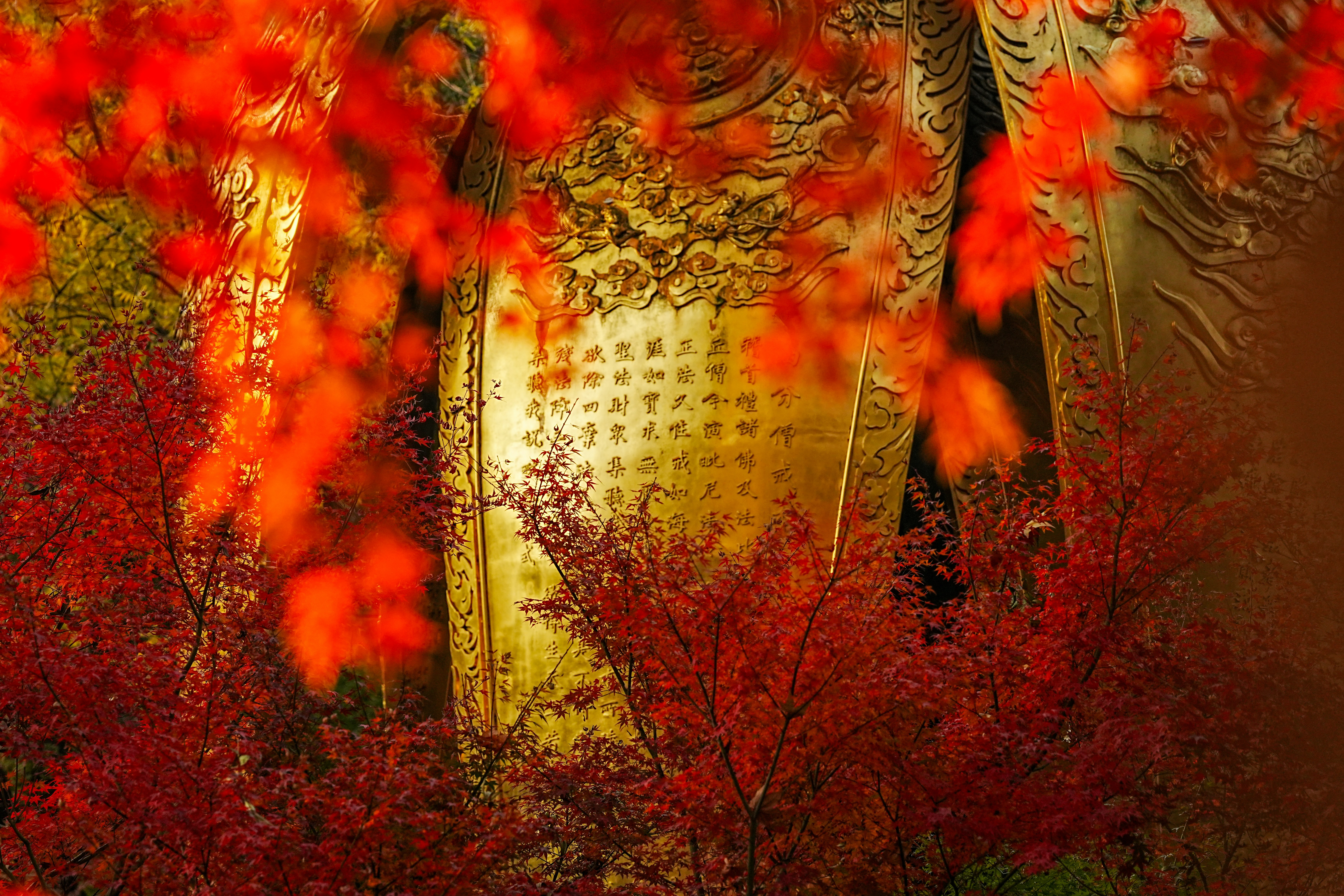 Autumn Lanterns: a Golden Script Hidden Among Crimson Foliage