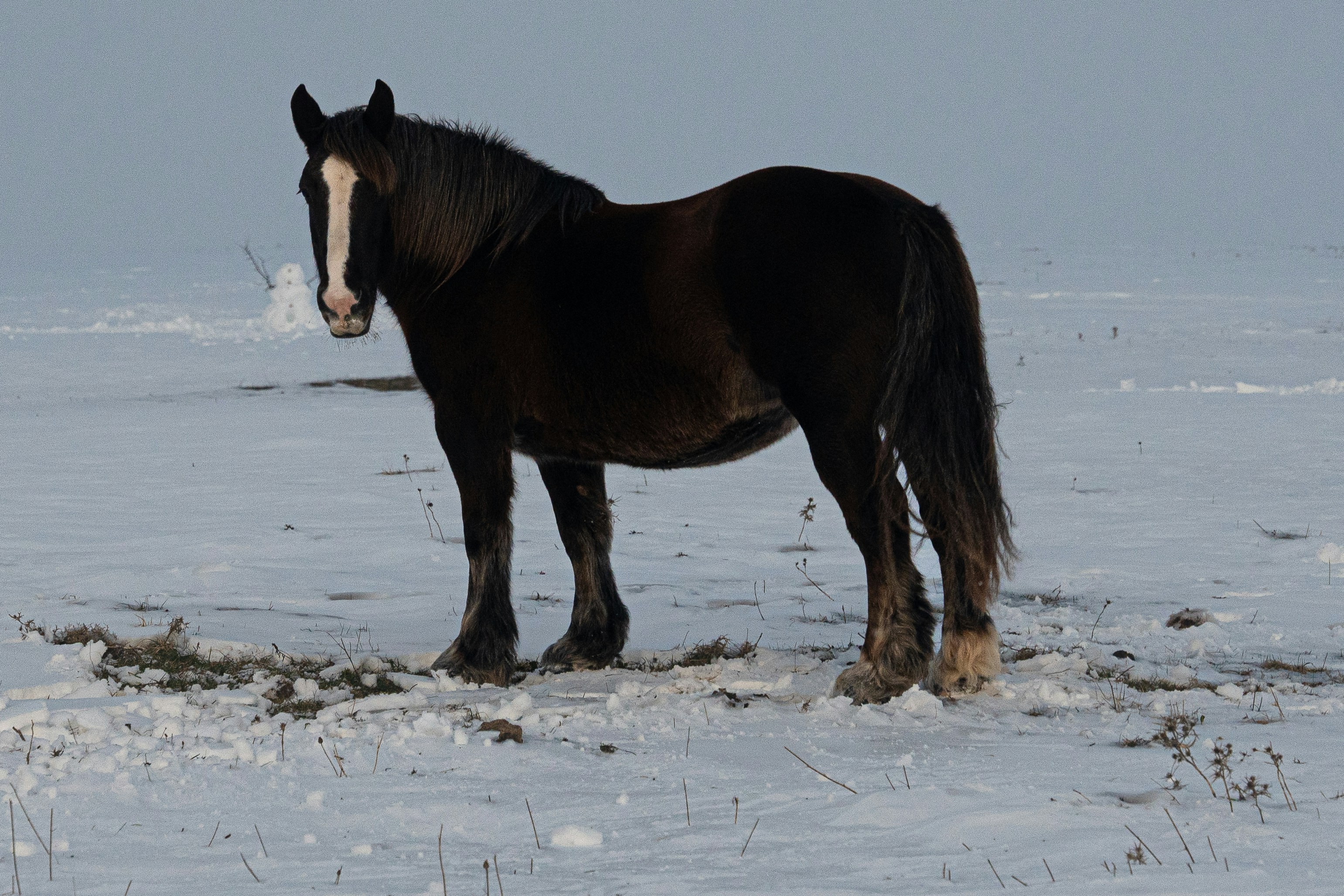 Three Stars Graphics (@3starsgraphics) | Komunitas Foto Unsplash