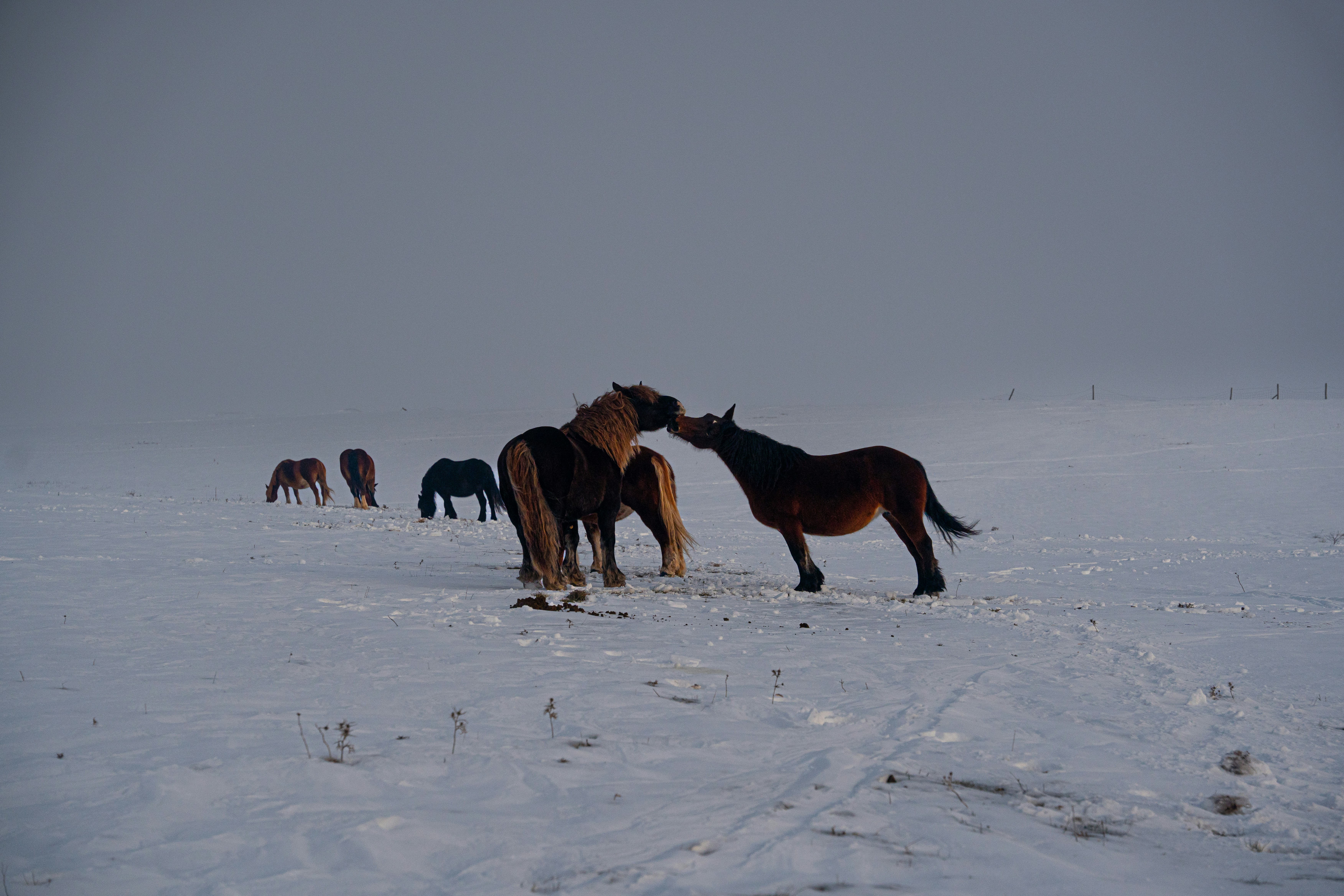 Three Stars Graphics (@3starsgraphics) | Komunitas Foto Unsplash