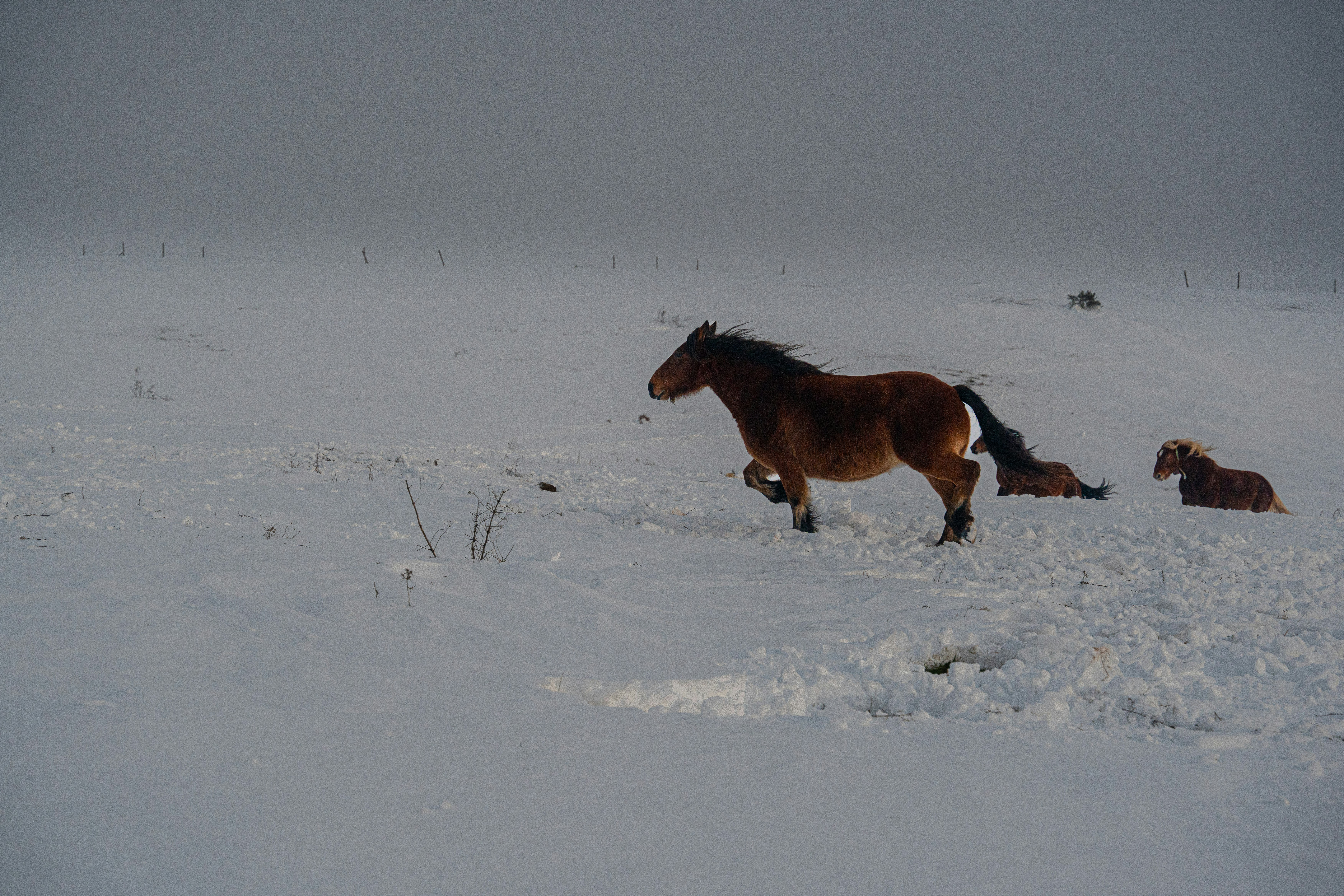 Three Stars Graphics (@3starsgraphics) | Unsplash 사진 커뮤니티